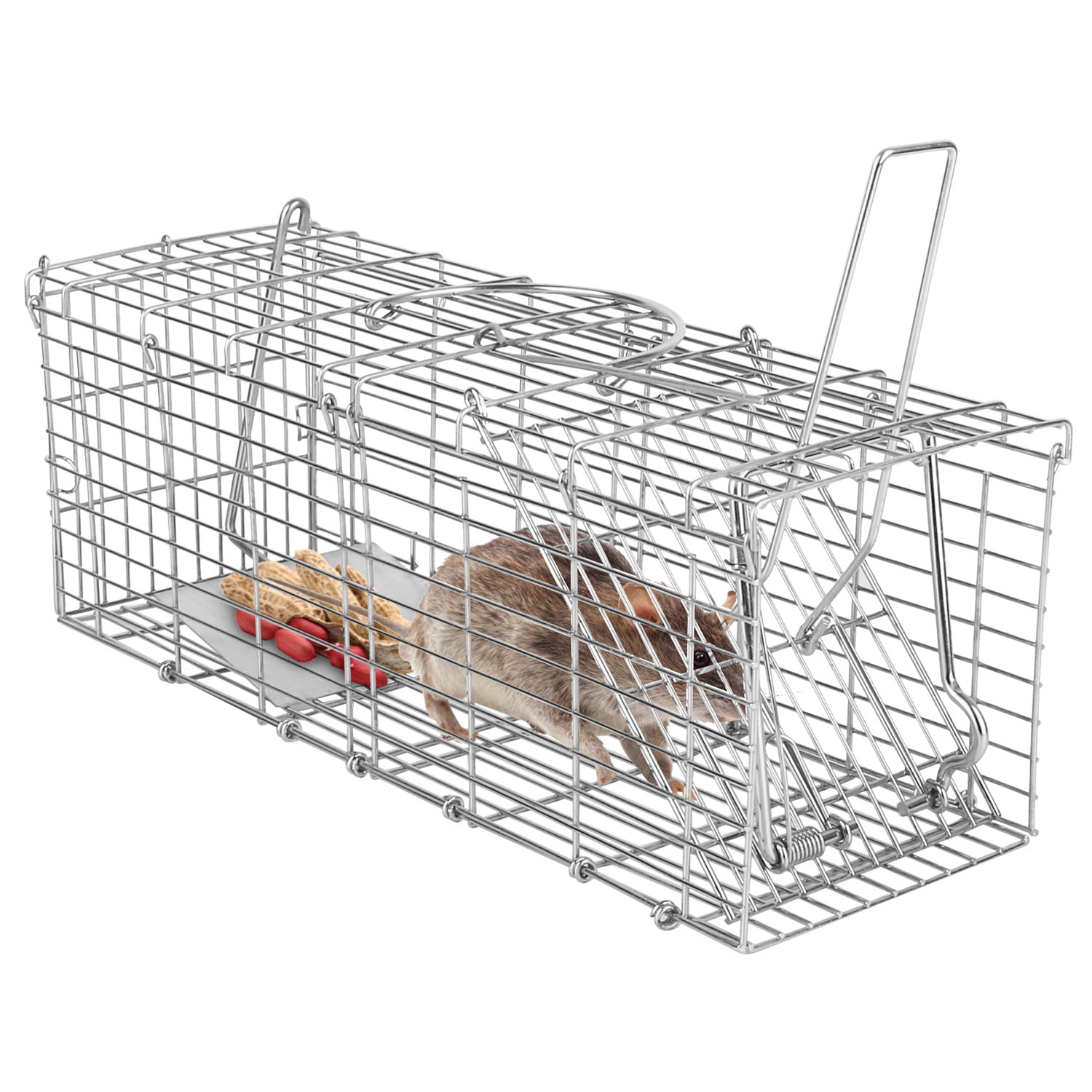 ZephyPaws Humane Way Folding,15 Inch Live Humane Animal Trap,Safe Traps ...