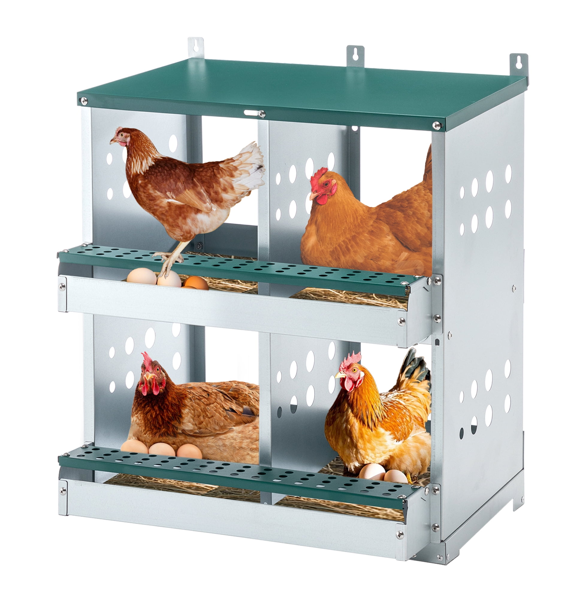 Zephypaws 4 Compartments Wall Mount Chicken Nesting Boxes for Laying ...