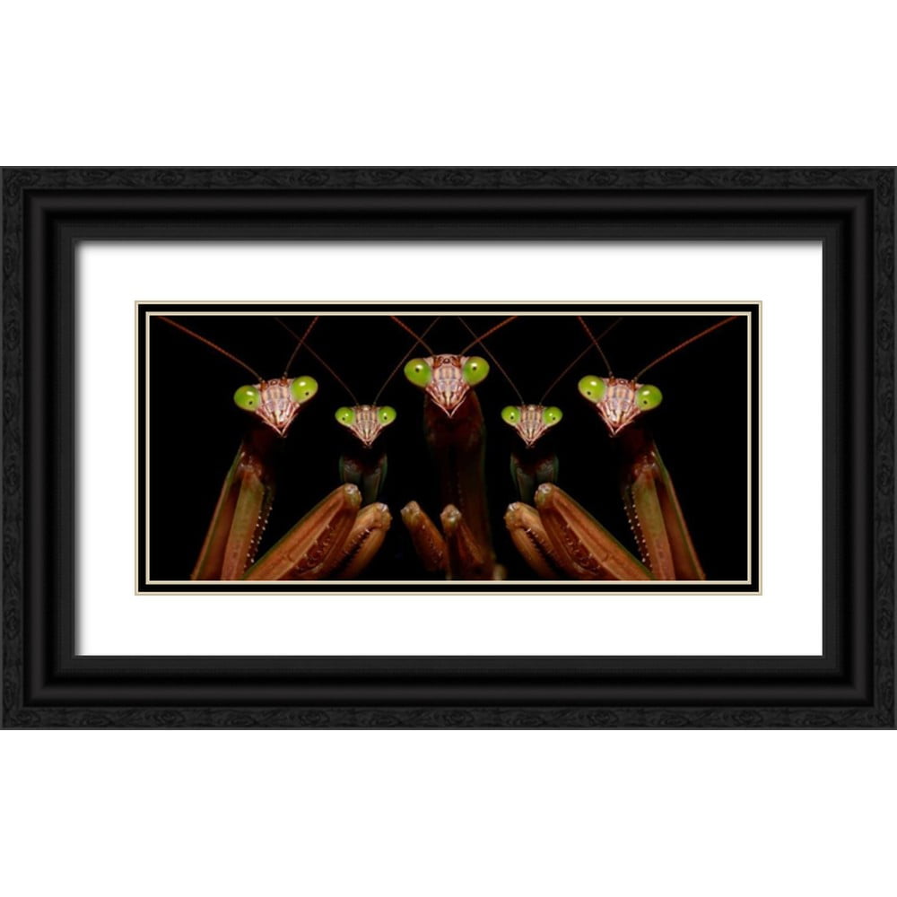 Zephyr, Patrick 14x8 Black Ornate Wood Framed with Double Matting ...