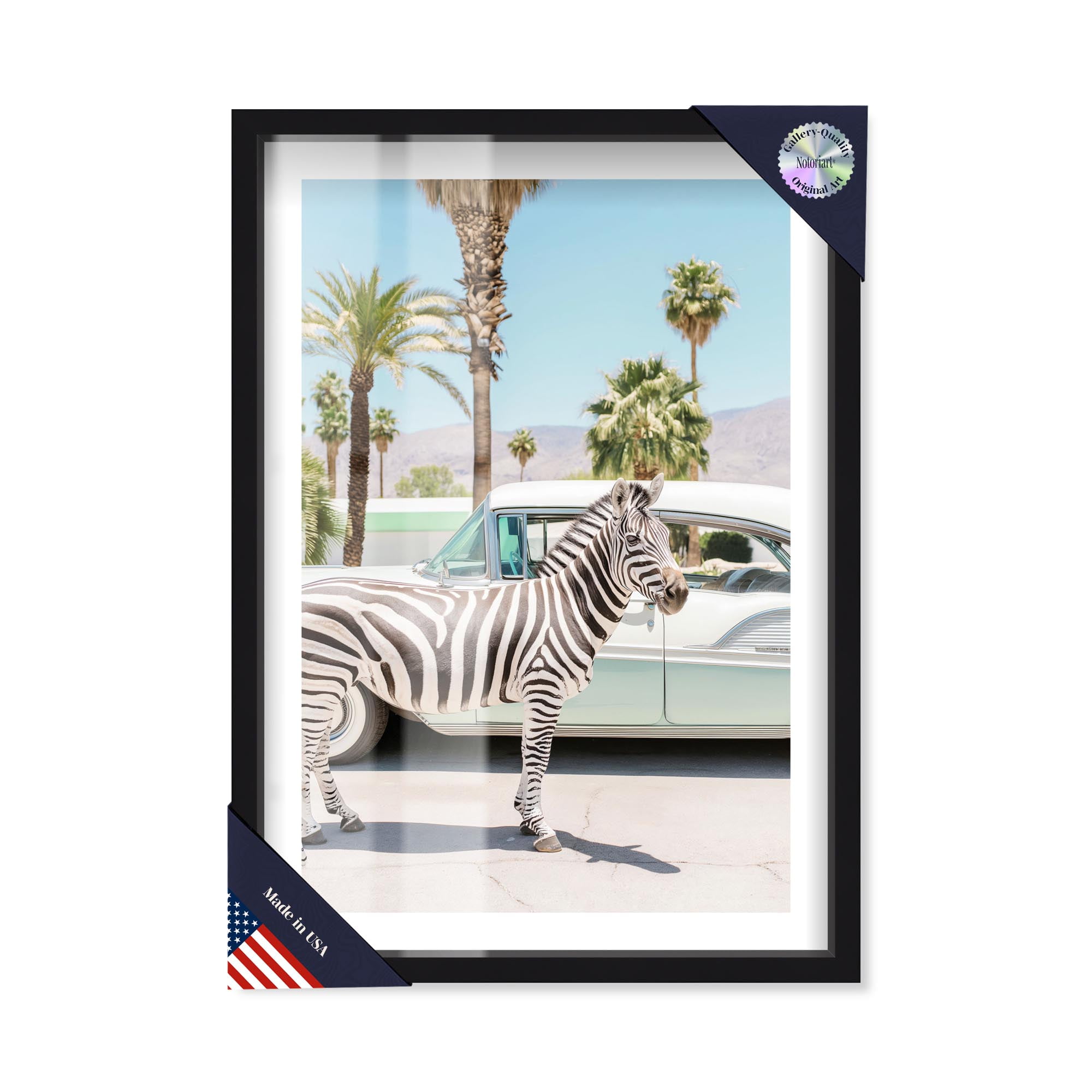 Zephyr Zebra Shadowbox Print Coastal Art Prints by Notoriart, Black ...