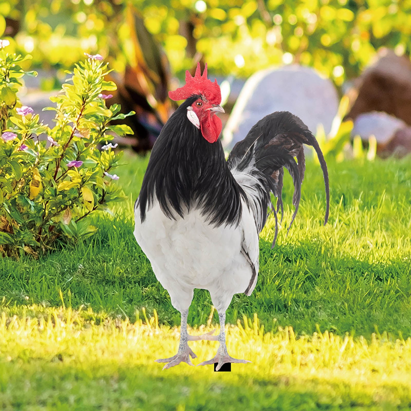 Zerbueate Garden Supplies Clearance Garden Decoration Fun Plug In ...