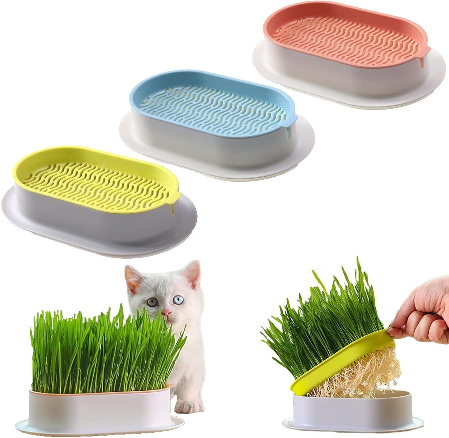 ZestMode 3pcs Hydroponic Cat Grass Planter, Cat Grass Sprouting Tray ...