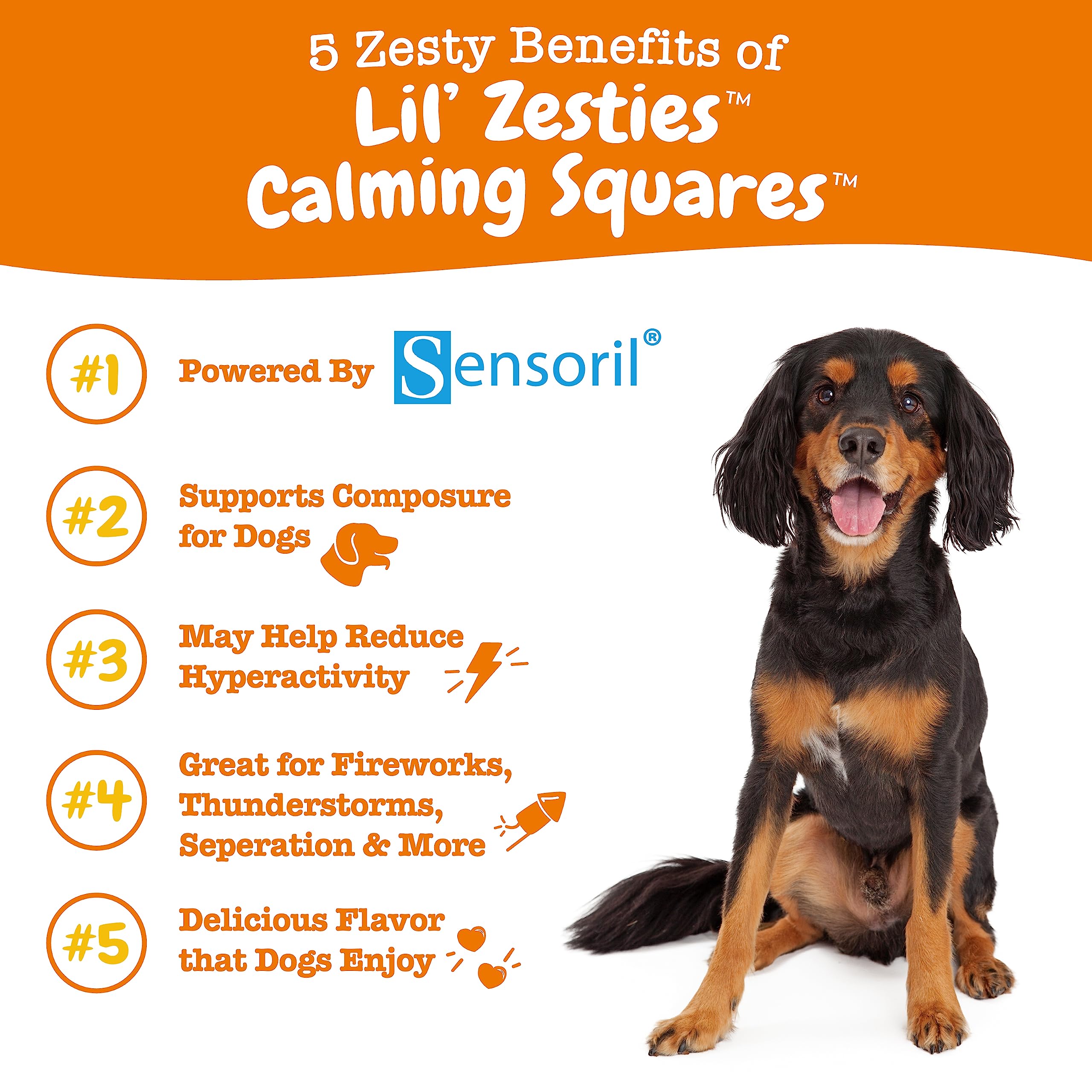 Zesty Paws FlavoredUMRT Soft Chews - Calming for Dogs Anxiety Composure ...