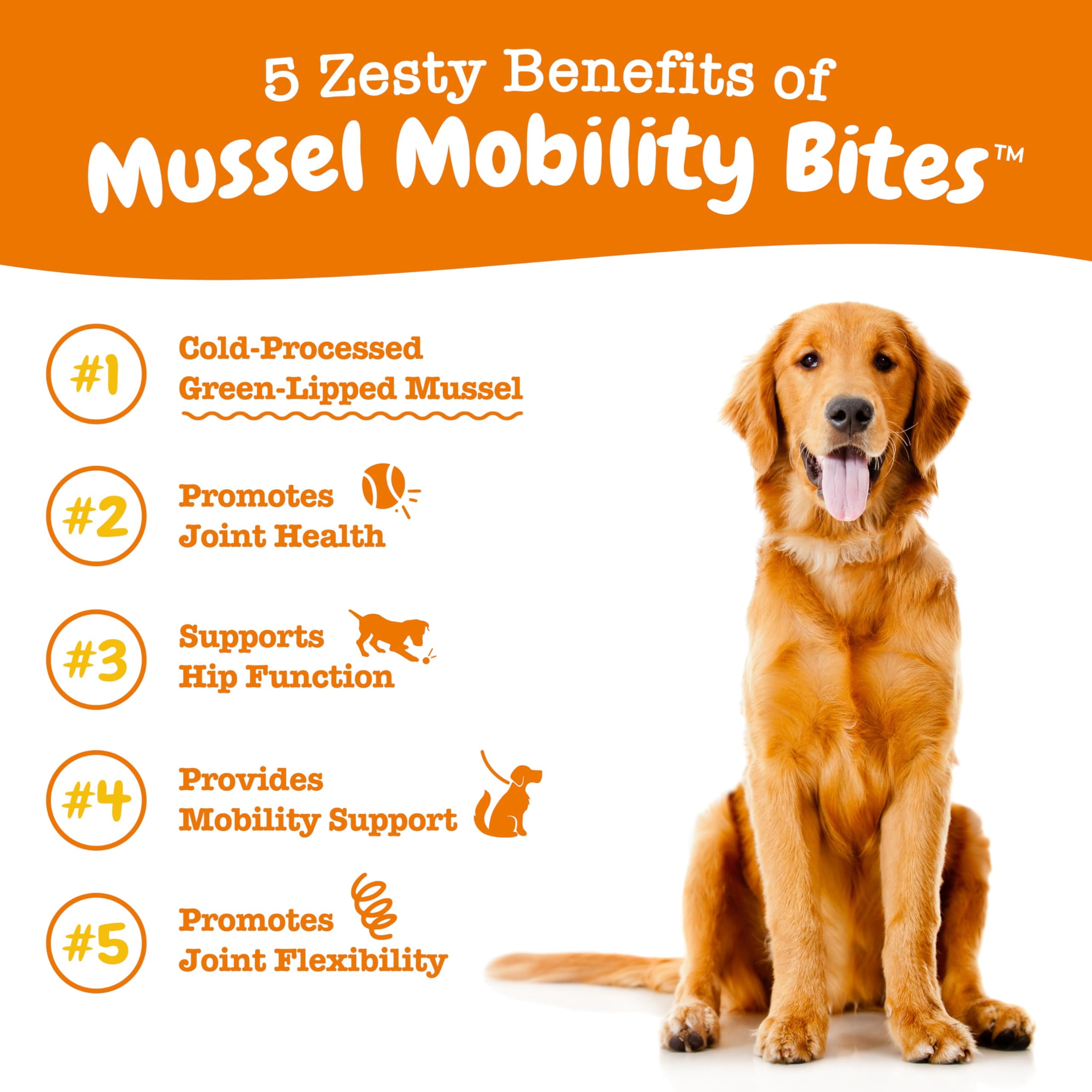 Zesty Paws MusselUMRT Mobility Bites for Dogs - New Zealand Green ...