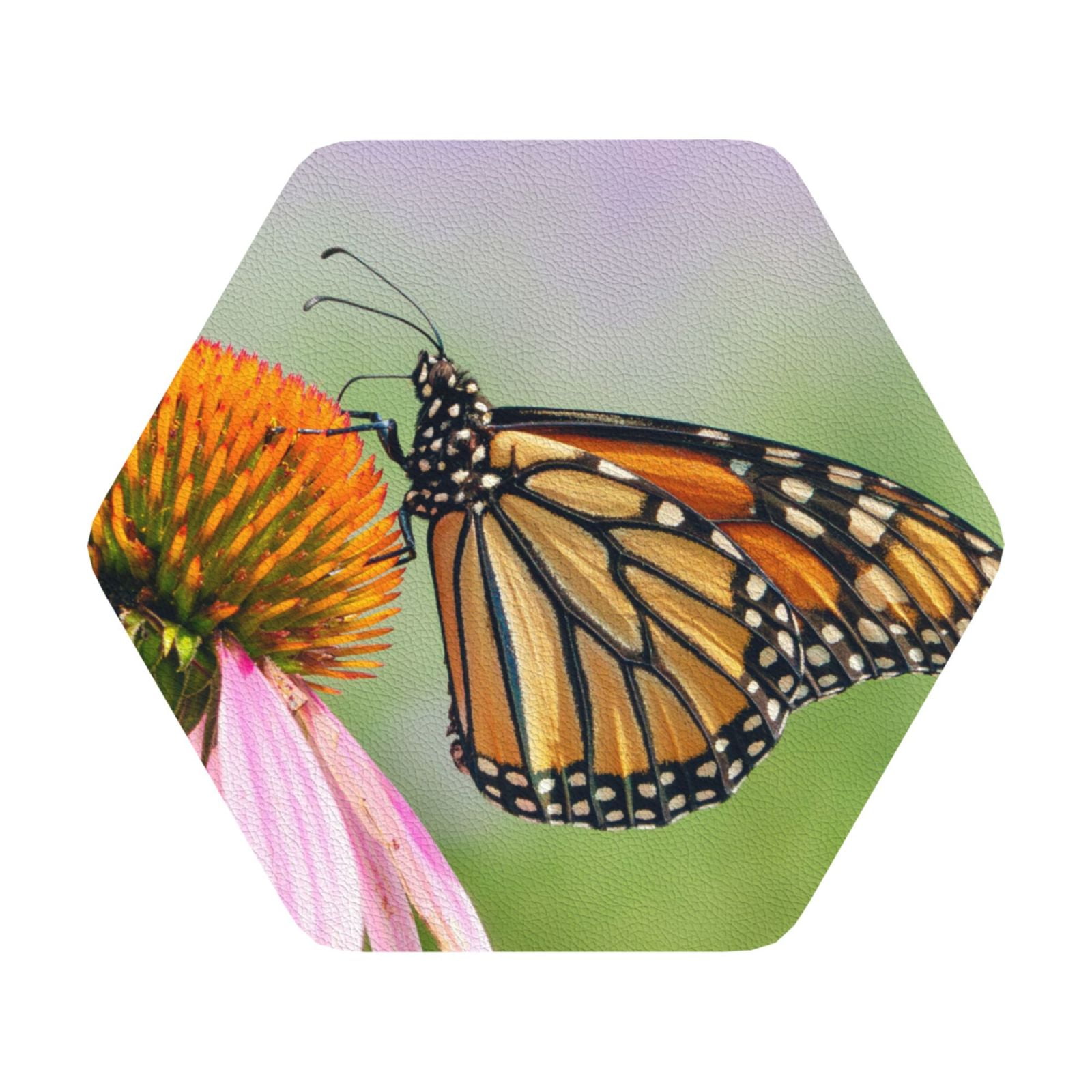 Zeuib A monarch butterfly Print Set of 6 Coasters for Drinks, Glass ...