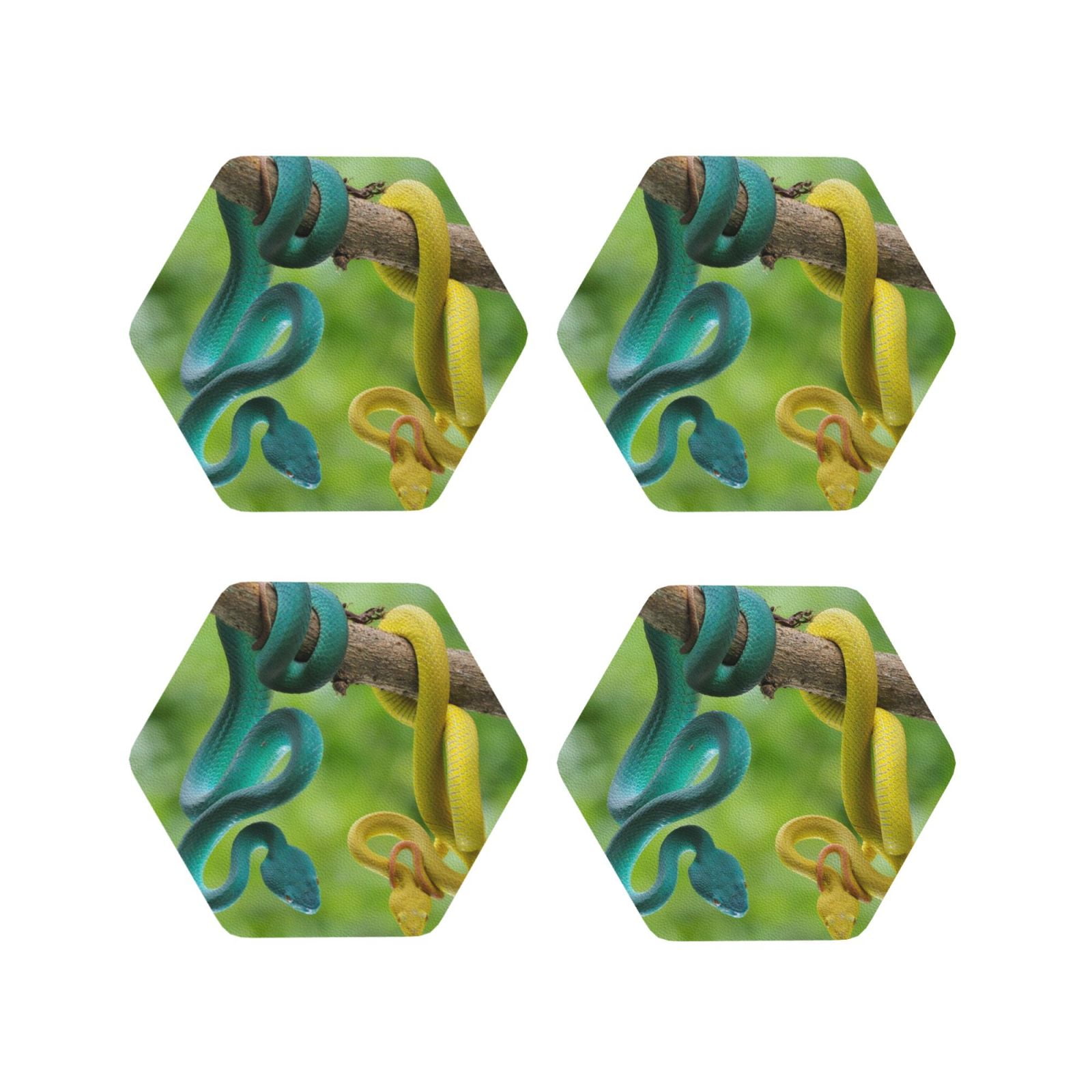 Zeuib Blue Viper And Yellow Viper Snake Print Set of 4 Coasters for ...