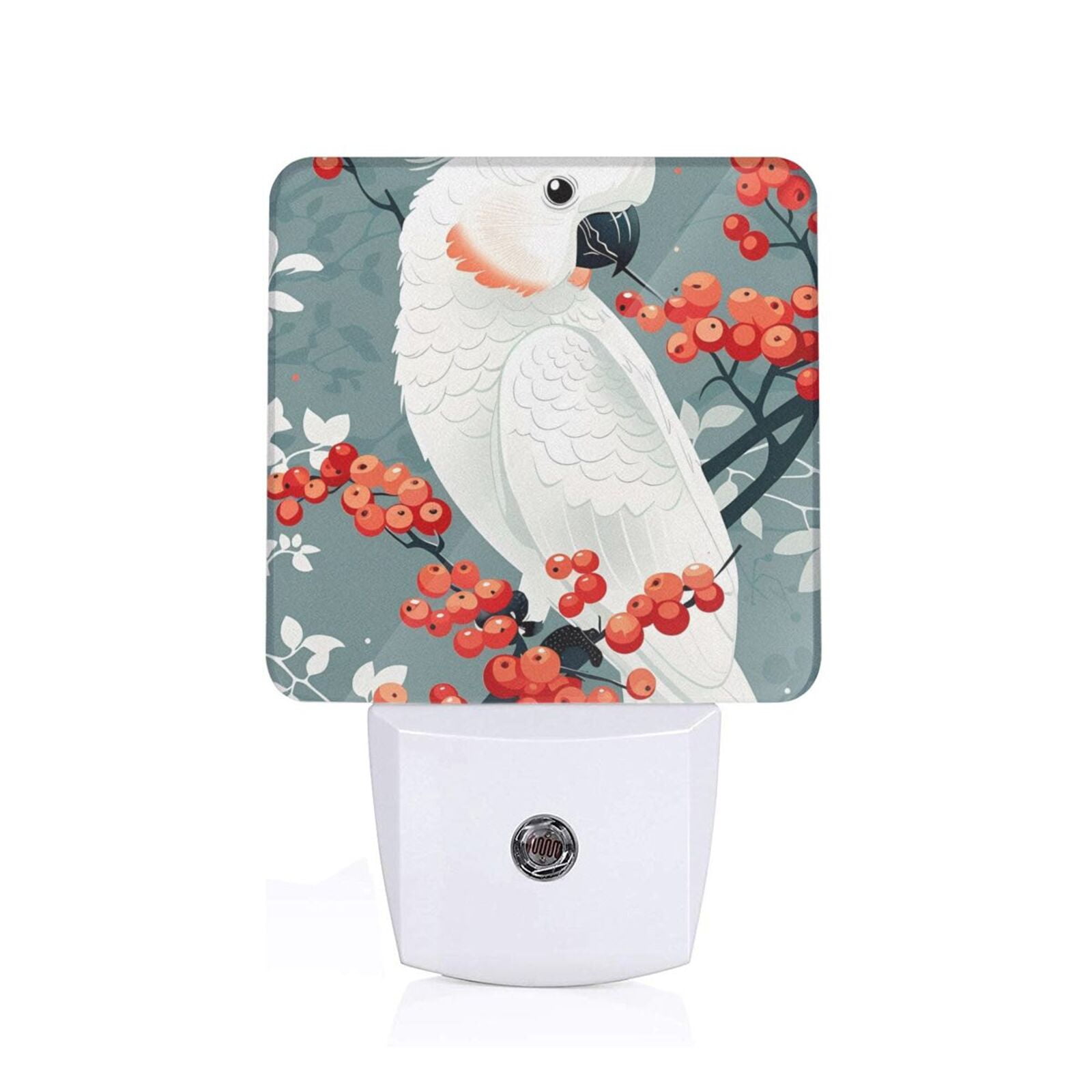 Zeuib Cockatoo Red Berries LED Night Light,Plug in Night Light with ...