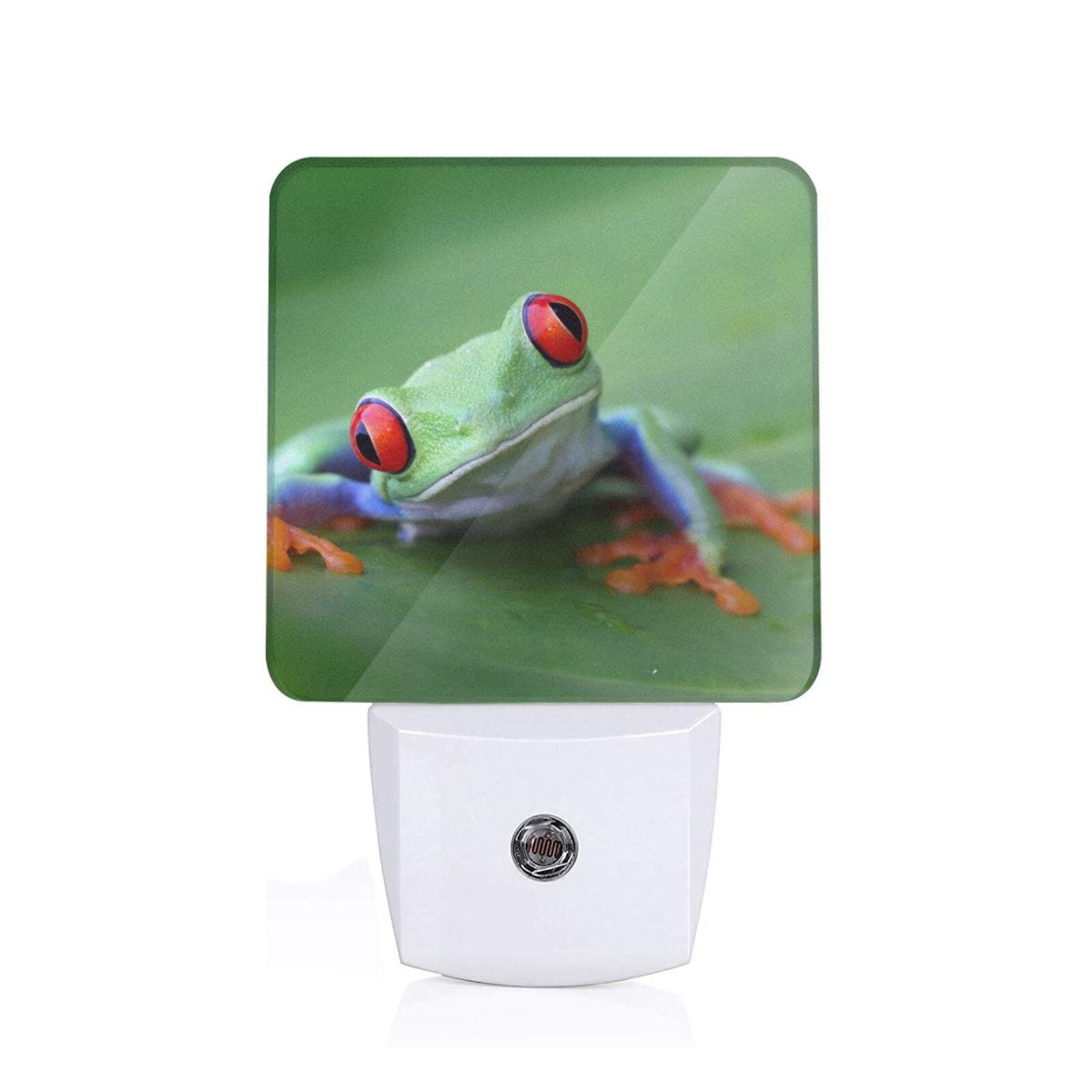 Zeuib Red-Eyed Tree Frog-1 LED Night Light,Plug in Night Light with ...