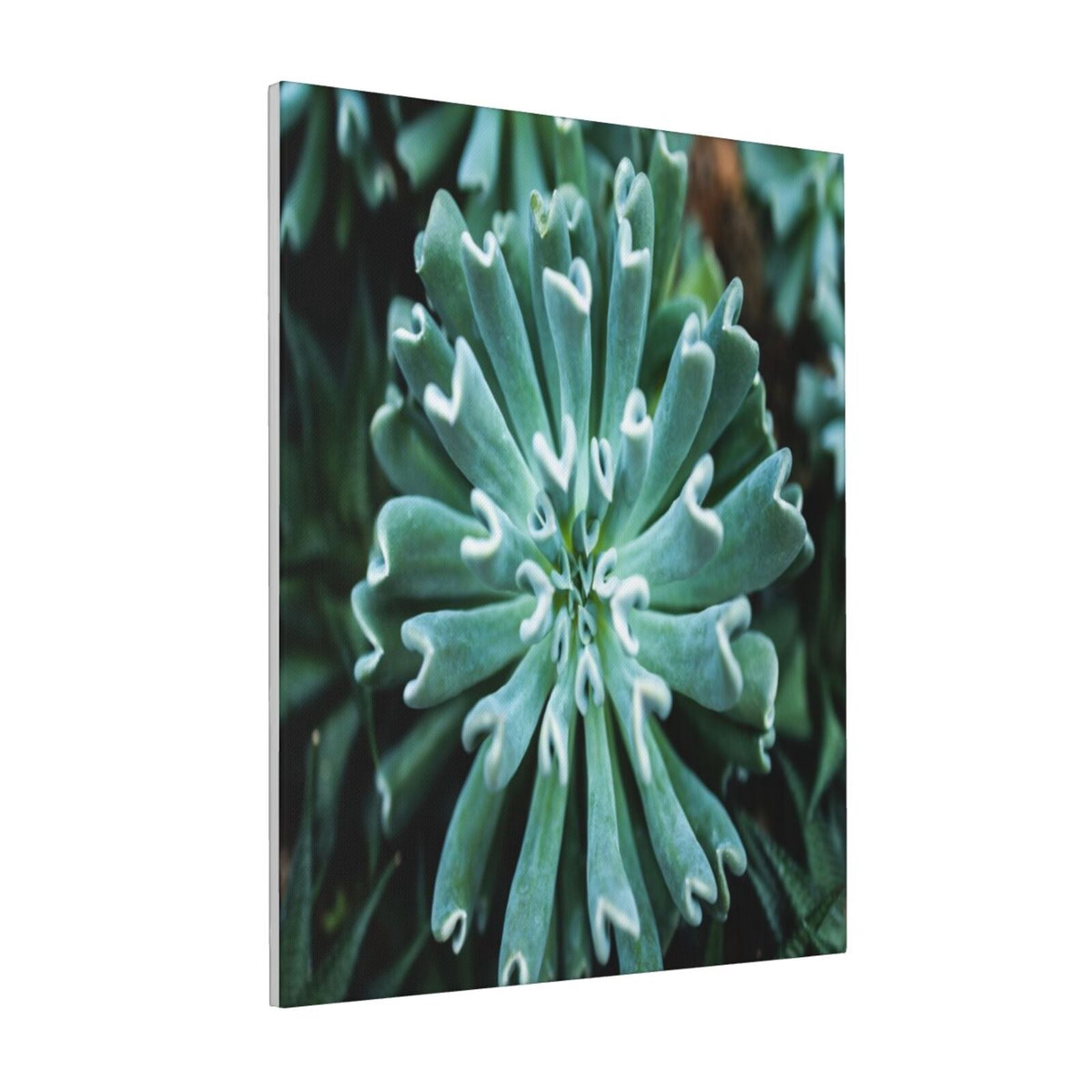 Zeuib Teal Cactus Print Farmhouse Canvas Wall Art For Bedroom,Wall ...
