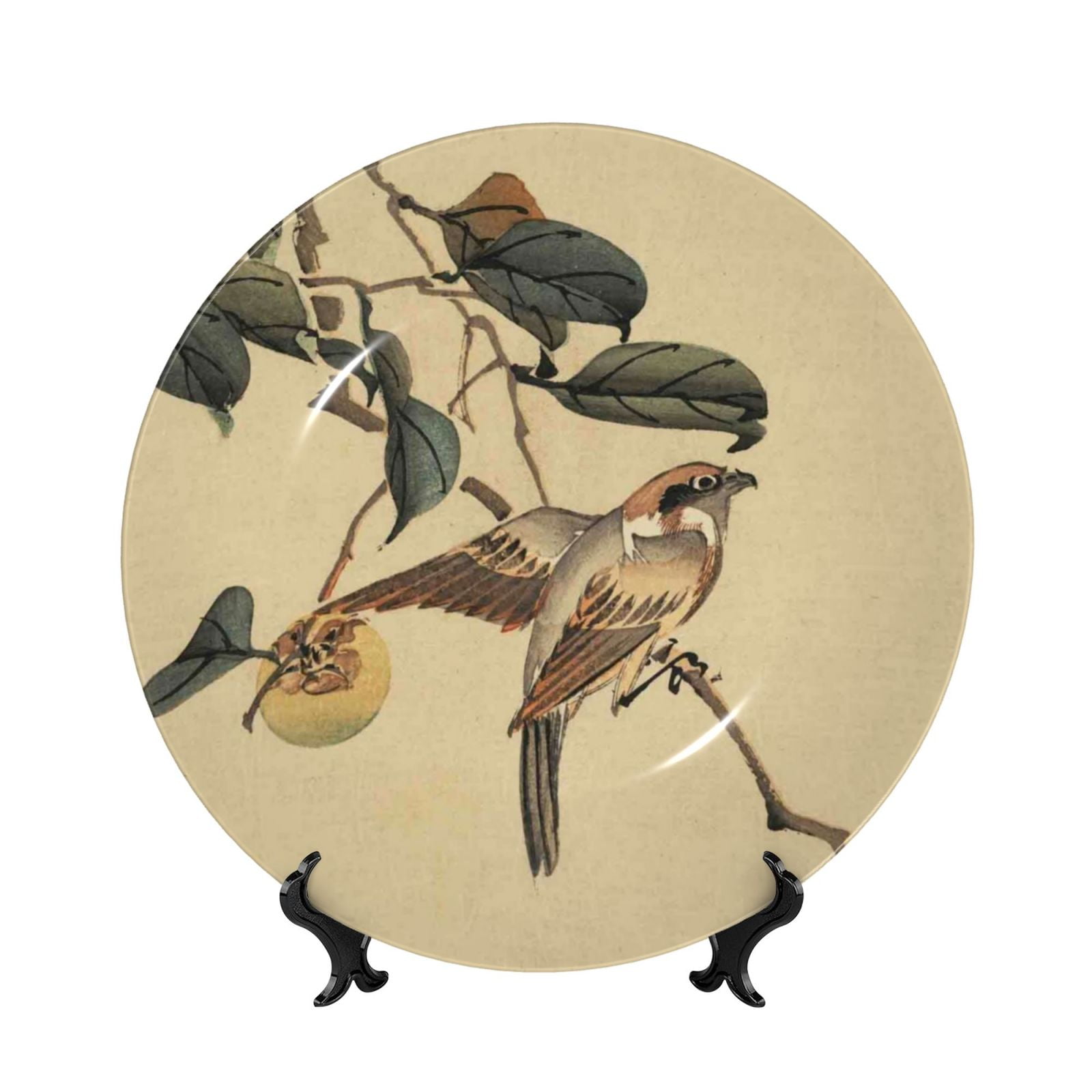 Zeuib Vintage Bird Print Decorative Plate for Display, Bone China ...