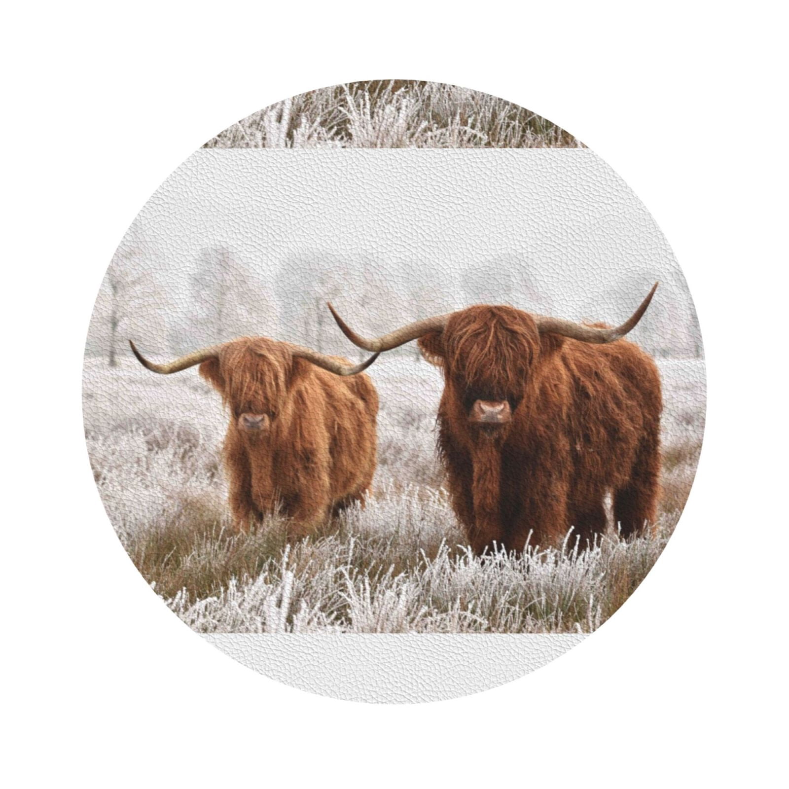 Zeuib Yak Print Set of 6 Coasters for Drinks, Glass & Cups Stain ...