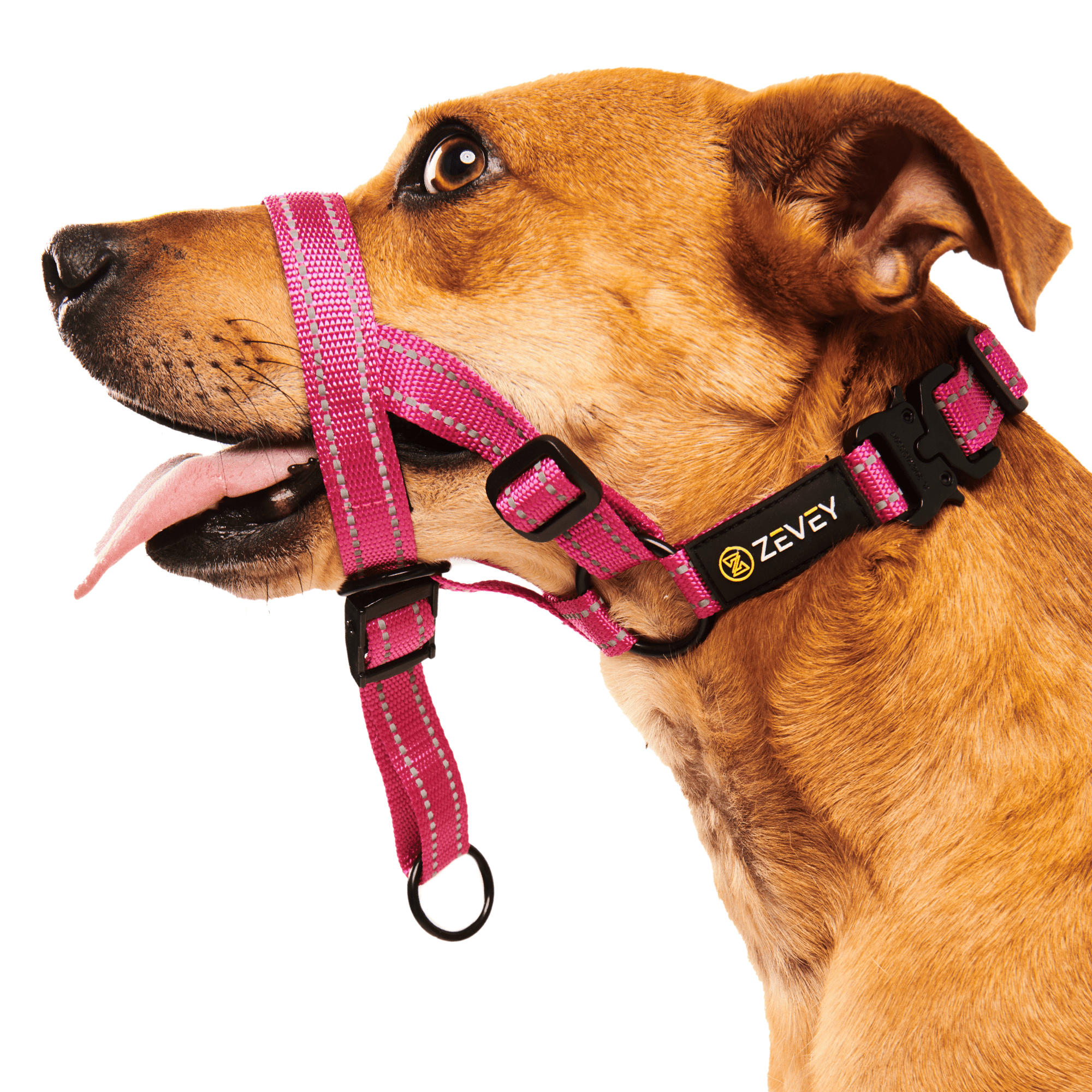 Zevey Adjustable Dog Head Halter with Safety Strap, Soft Padded Dog ...
