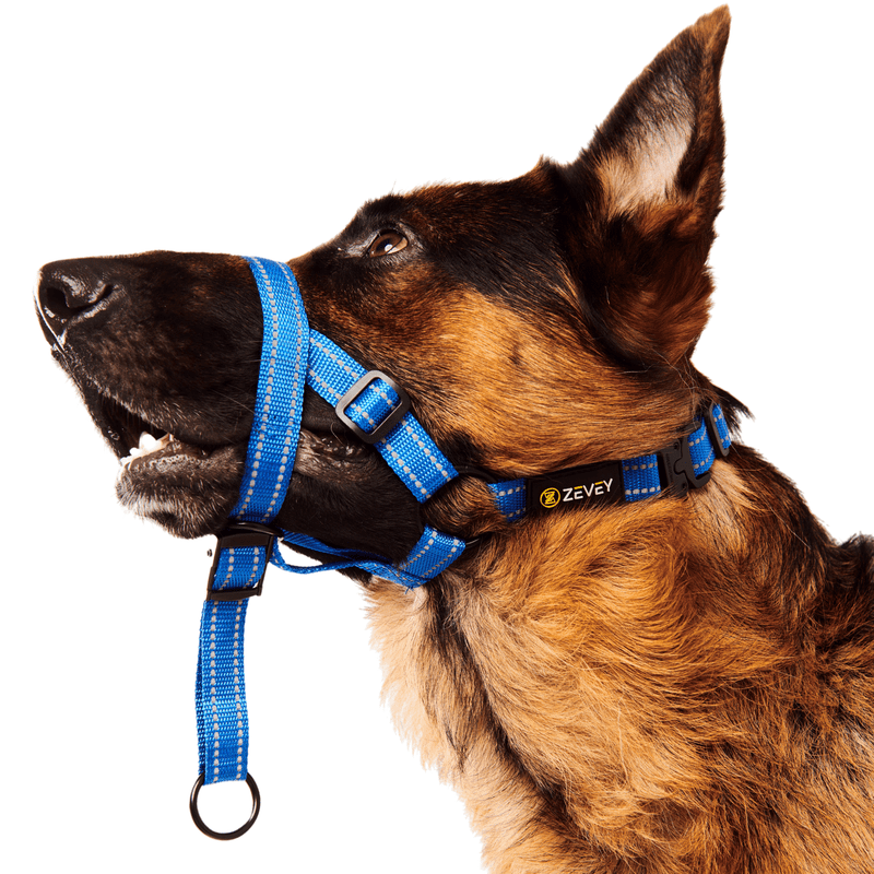 Zevey Adjustable Dog Head Halter with Safety Strap, Soft Padded Dog ...