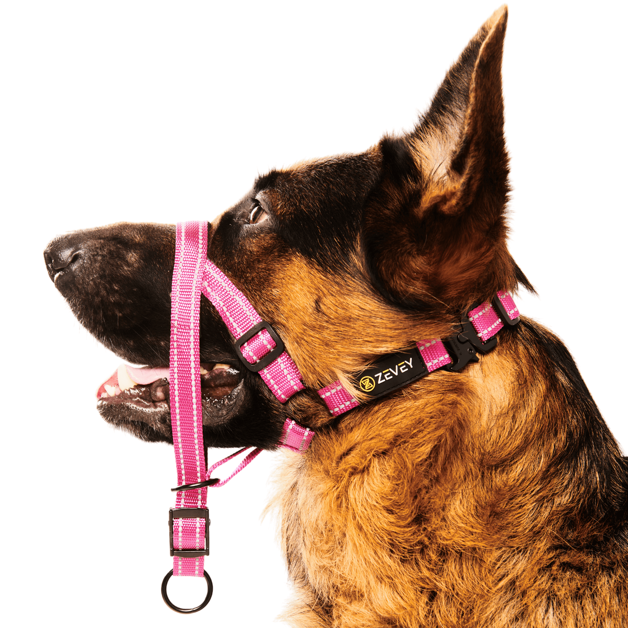 Zevey Adjustable Dog Head Halter with Safety Strap, Soft Padded Dog ...