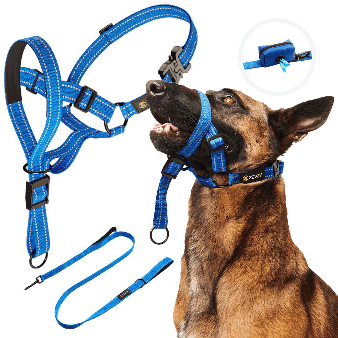 Zevey Dog Headcollar With Leash And Safety Strap Stops Heavy Pulling On ...