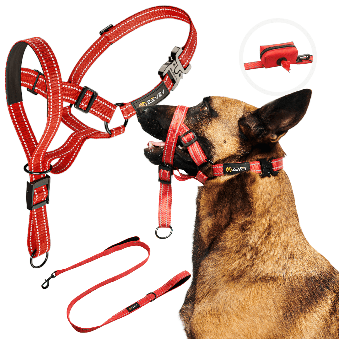 Zevey Dog Headcollar With Leash And Safety Strap Stops Heavy Pulling On ...