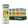 Zevia Organic Sugar Free Iced Tea, Black Tea Peach, 12 Ounce Cans (Pack ...