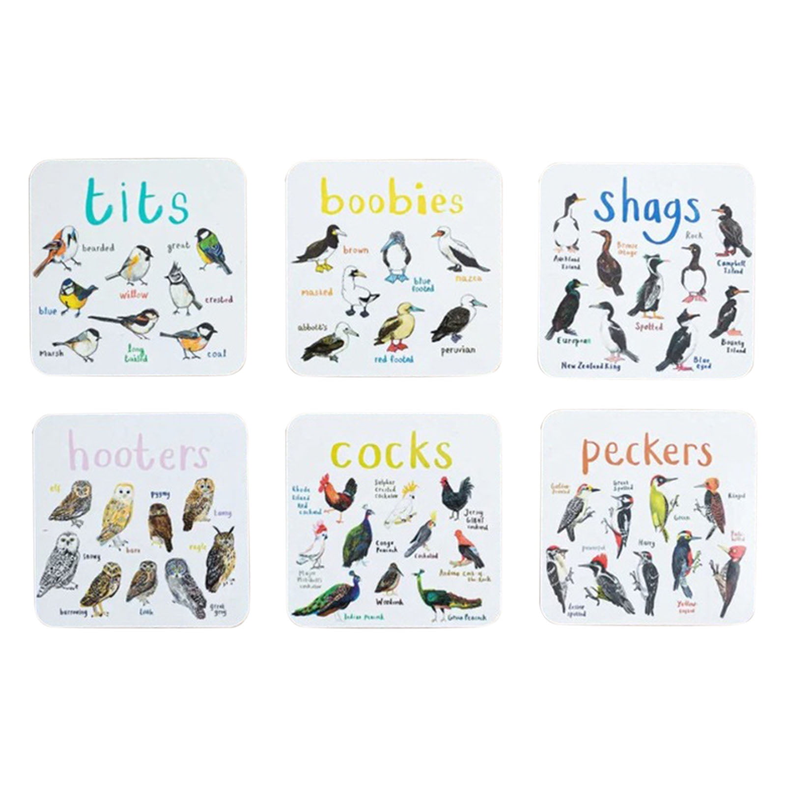 Zexumo 6PCS Funny Bird Coasters, Handmade PVC Square Cup Pad, Reusable ...