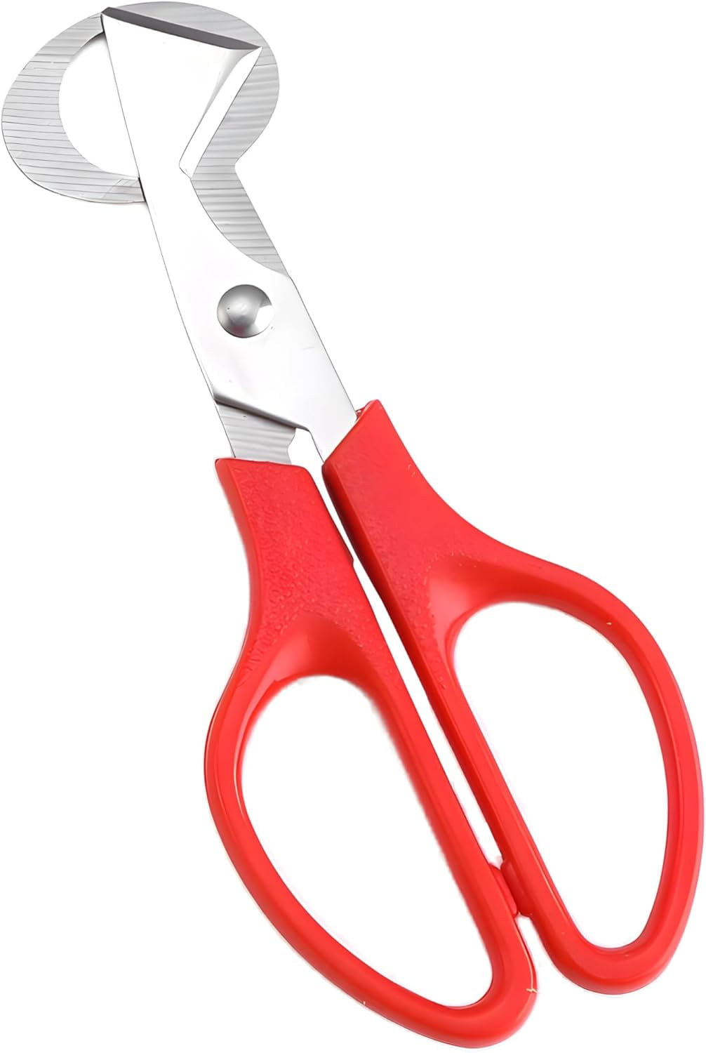 Zgui Pigeon Bird Quail Egg Cutter, Stainless Steel Quail-Egg Cutter ...