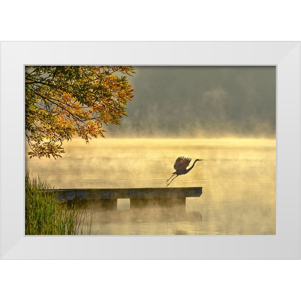 Zhang, Eric 14x11 White Modern Wood Framed Museum Art Print Titled - Morning flight - Walmart.com