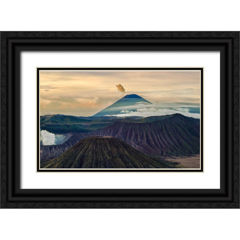 Zhang Yu, Ryan 32x21 Black Ornate Wood Framed with Double Matting Museum Art Print Titled - The ...