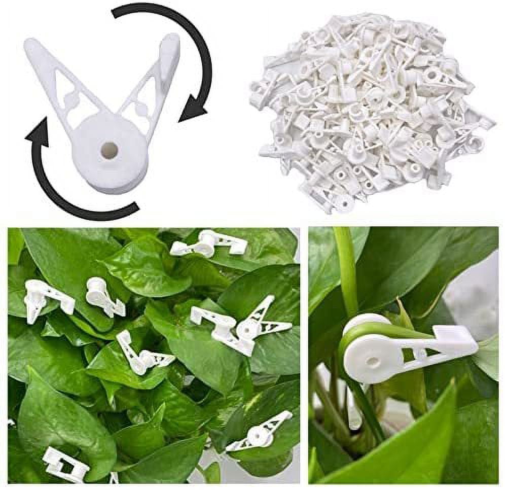 Zhaomeidaxi 10Pcs 360 Degree Adjustable Plant Trainer Clips, Plant Stem ...