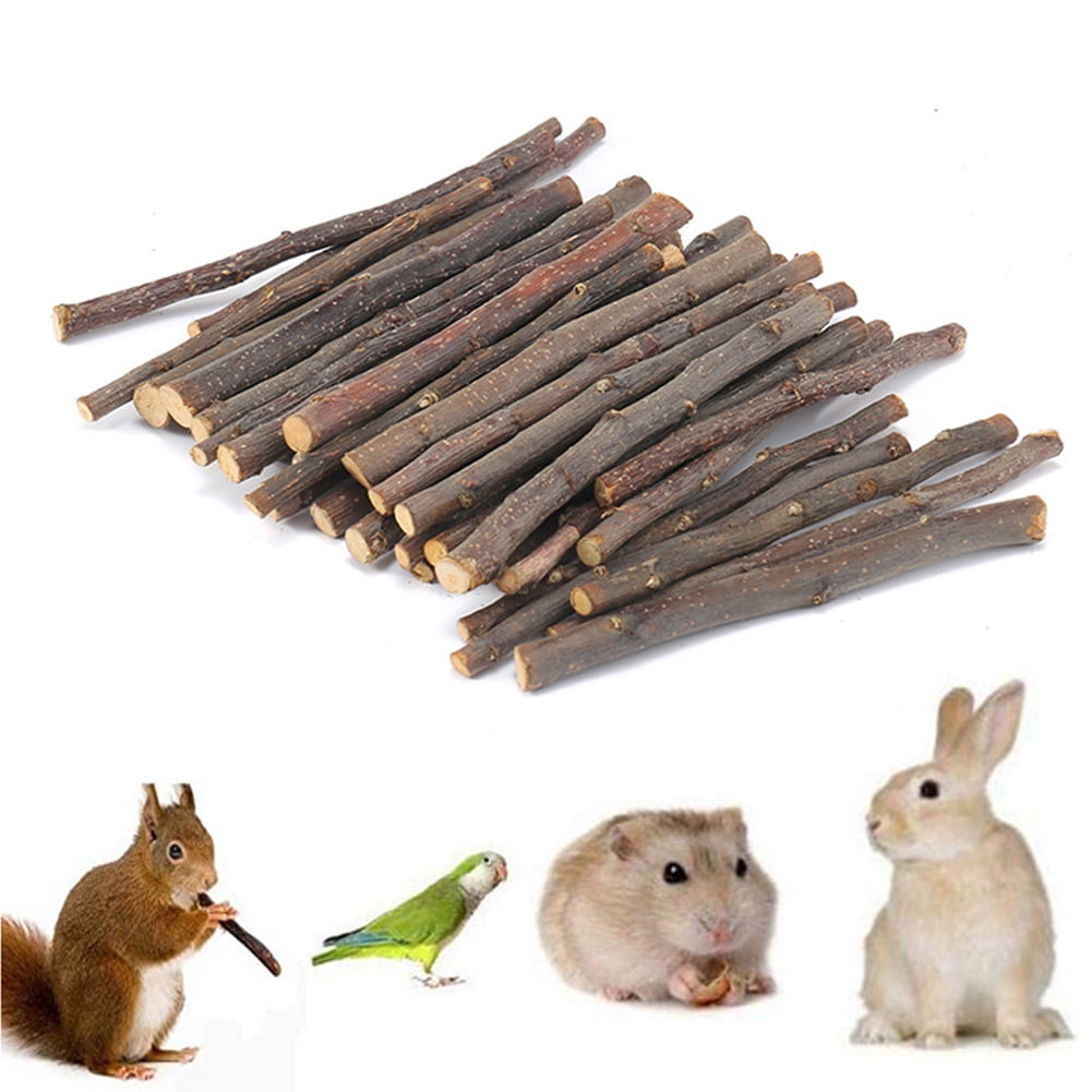 Zhaomeidaxi 20/40/60Pcs Natural Apple Sticks Small Animals Molar Wood ...