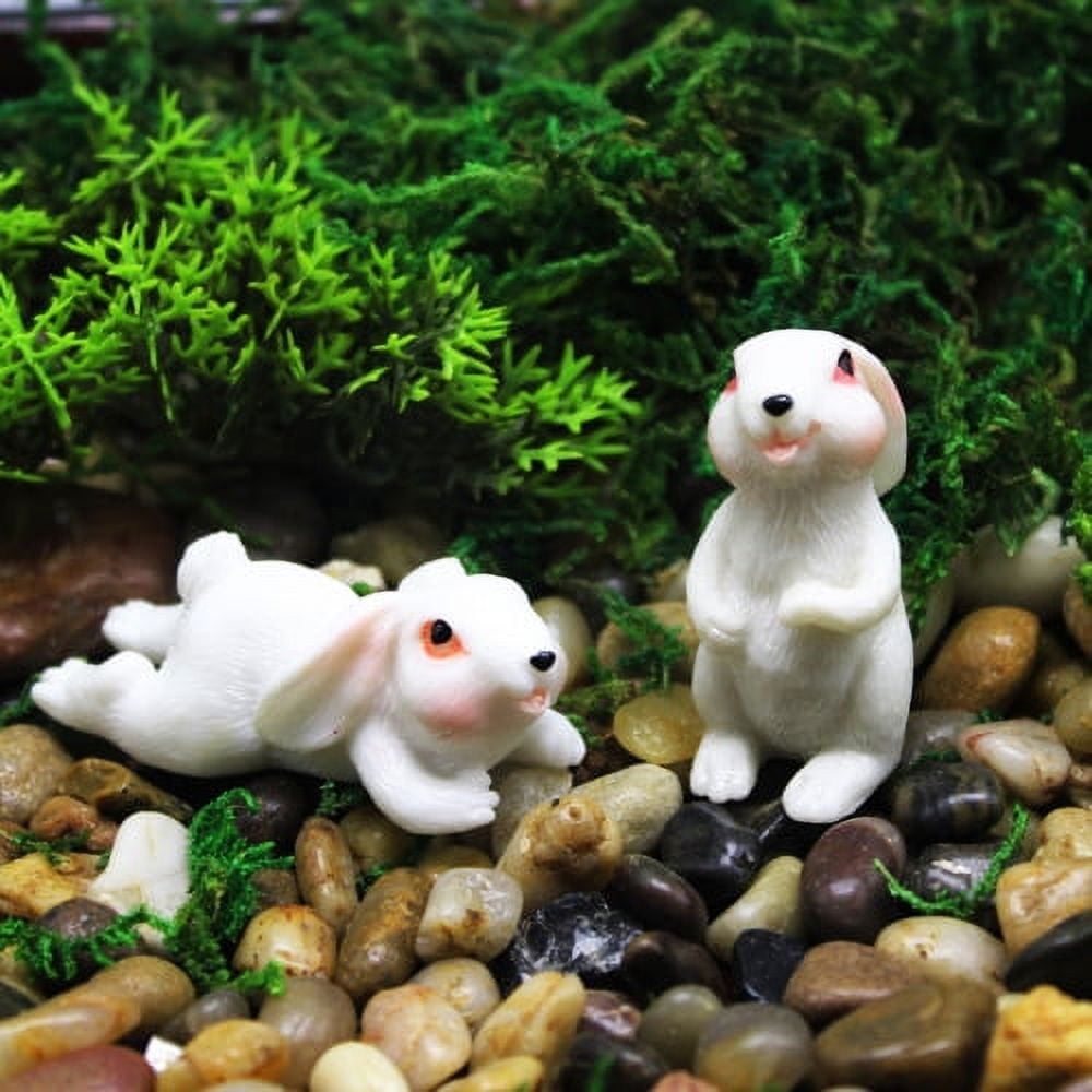 Zhaomeidaxi 6Pcs Mini Animals Miniature Figurines Animals Model Fairy ...