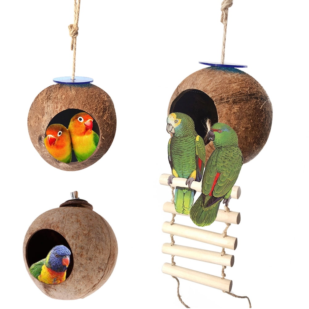 Zhaomeidaxi Hanging Coconut Bird House with Ladder,Natural Coconut ...