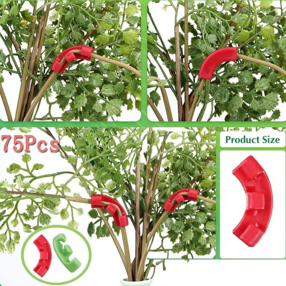 Zhaomeidaxi Red%26Green - Low-Stress Training Clips - Plant Stem ...