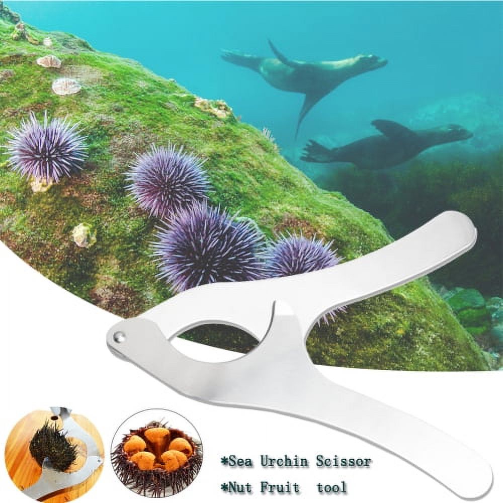 Zhaomeidaxi Sea Urchin Scissor High Hardness Anti-deform Stainless ...
