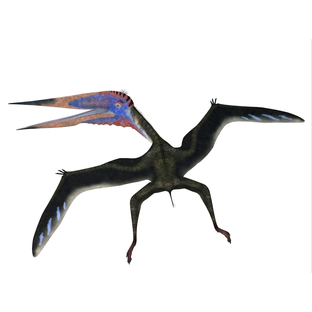 Zhejiangopterus pterosaur Poster Print - Walmart.com