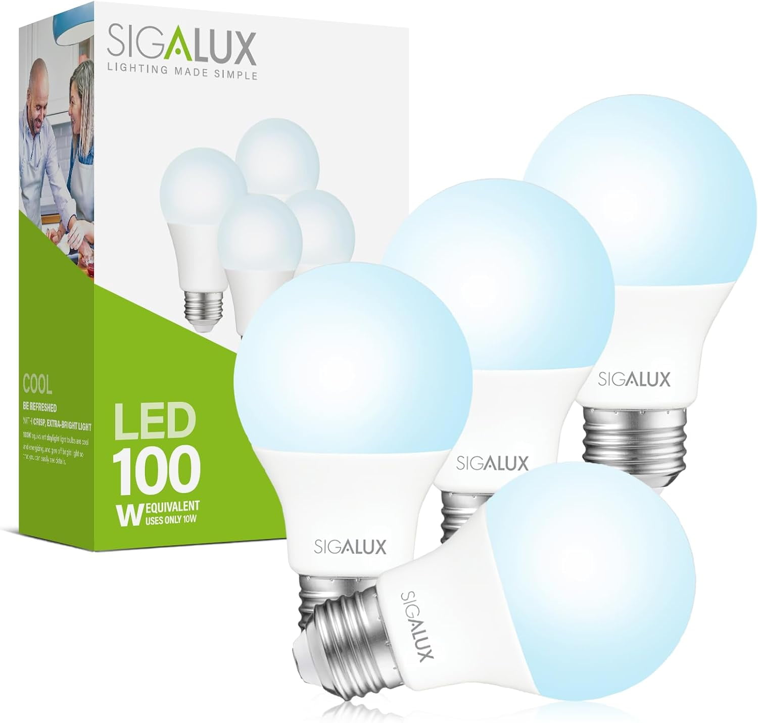 ZhenheLight Bulbs 100 Watt Equivalent,A19 Daylight Standard Led Bulbs ...