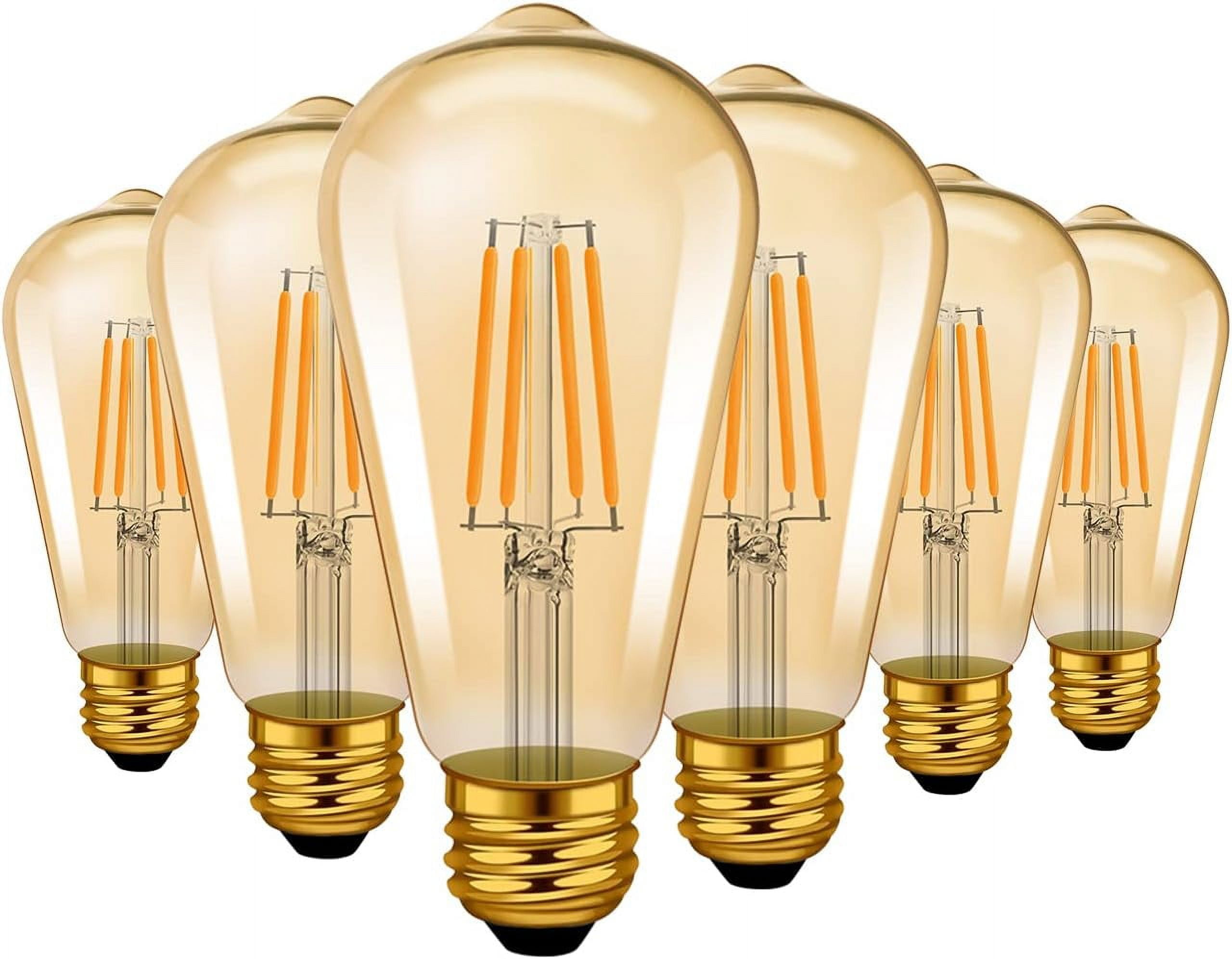 ZhenheVintage Edison Light Bulb St21 Led Filament Bulb 8W(60 Watt ...