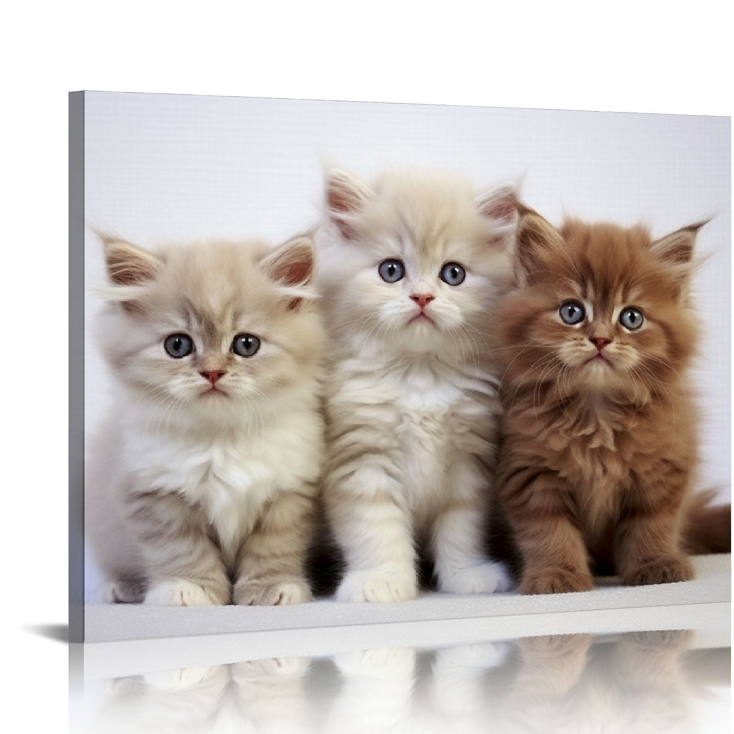 Zhiwo Persian Kittens Fluffy Cat Canvas Prints Poster Wall Art For Home ...