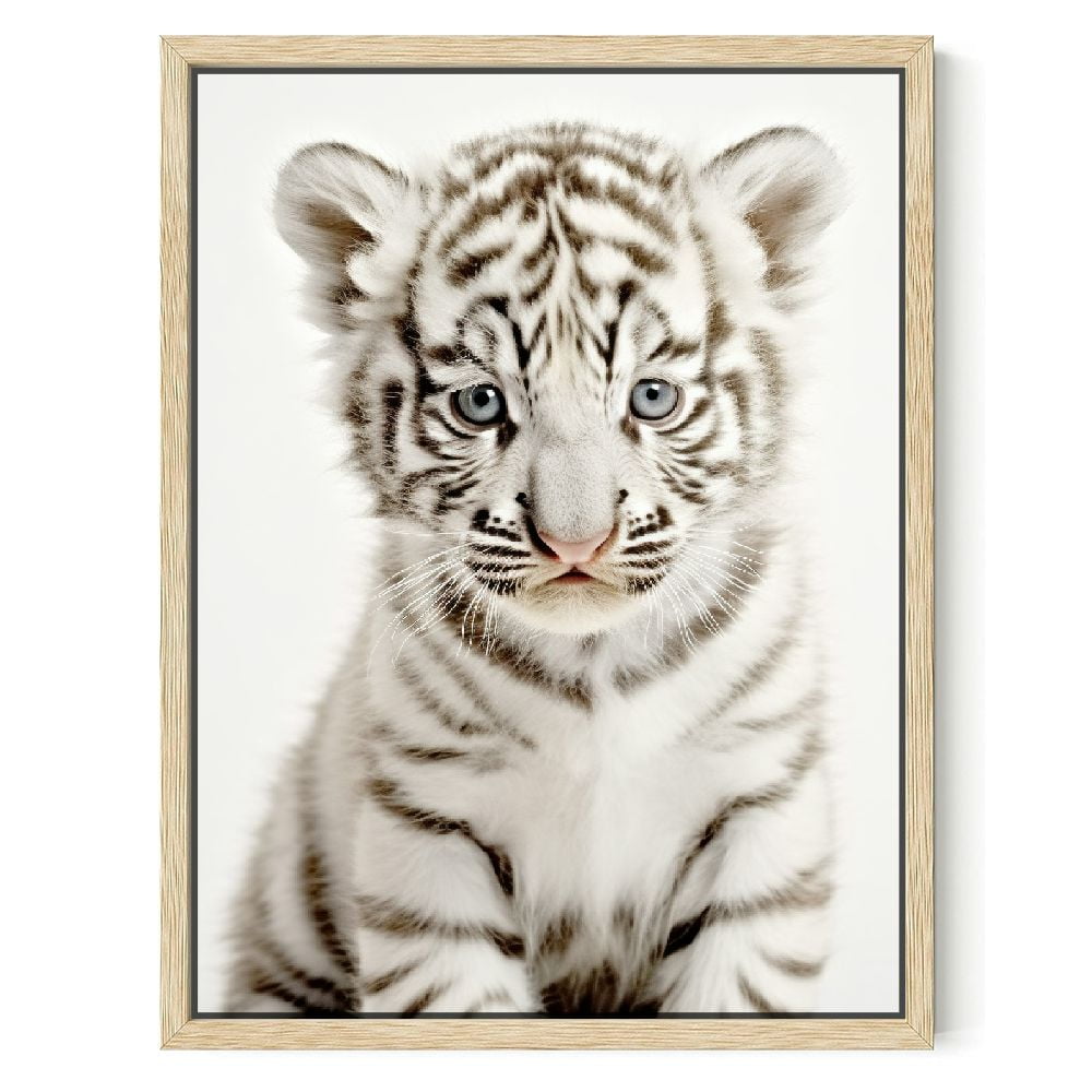 Zhiwo Sylvie Animal Studio Baby White Tiger Framed Canvas Wall Art by ...