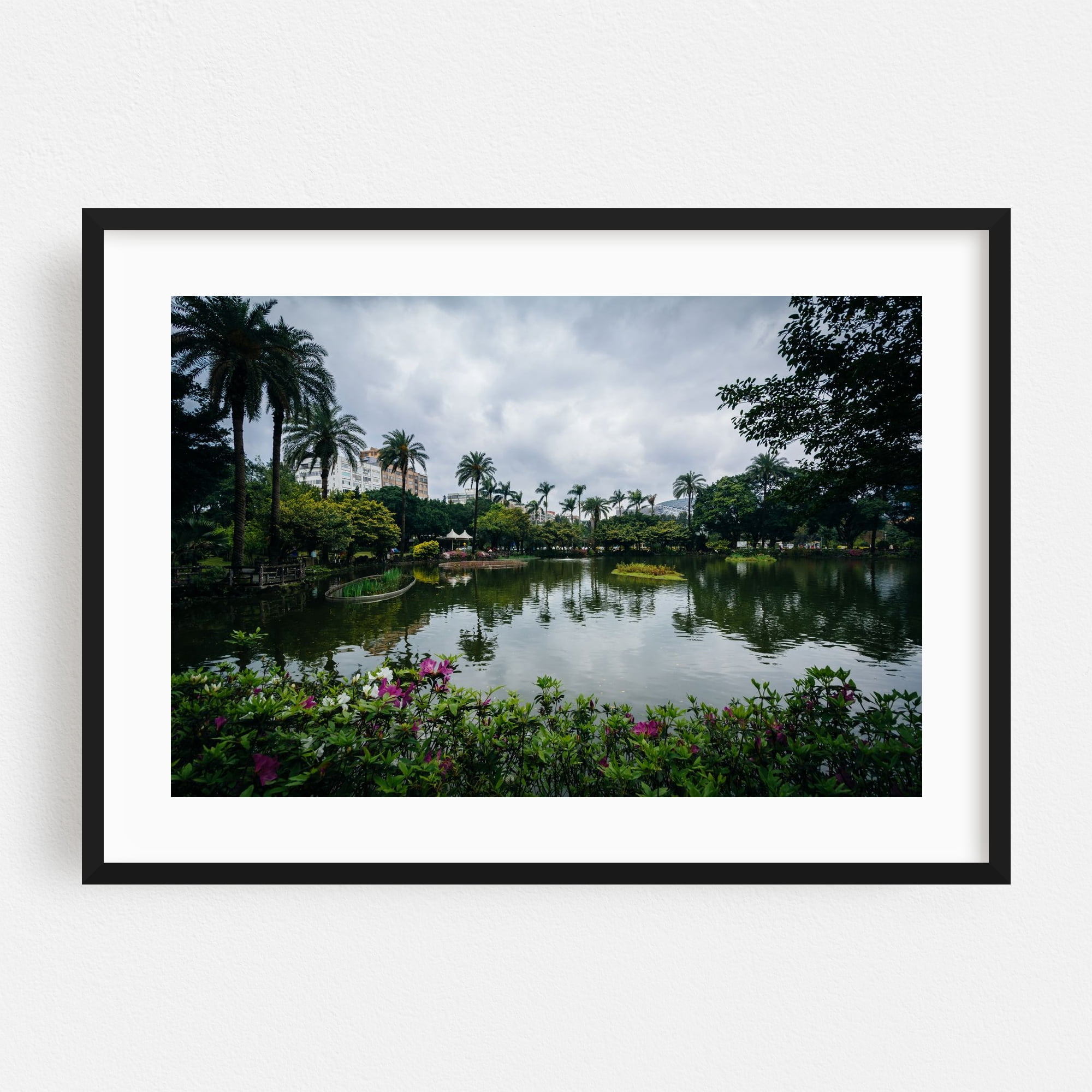 Zhongshan Park - Taipei Taiwan Photography Tropical Palm Tree Landscape ...