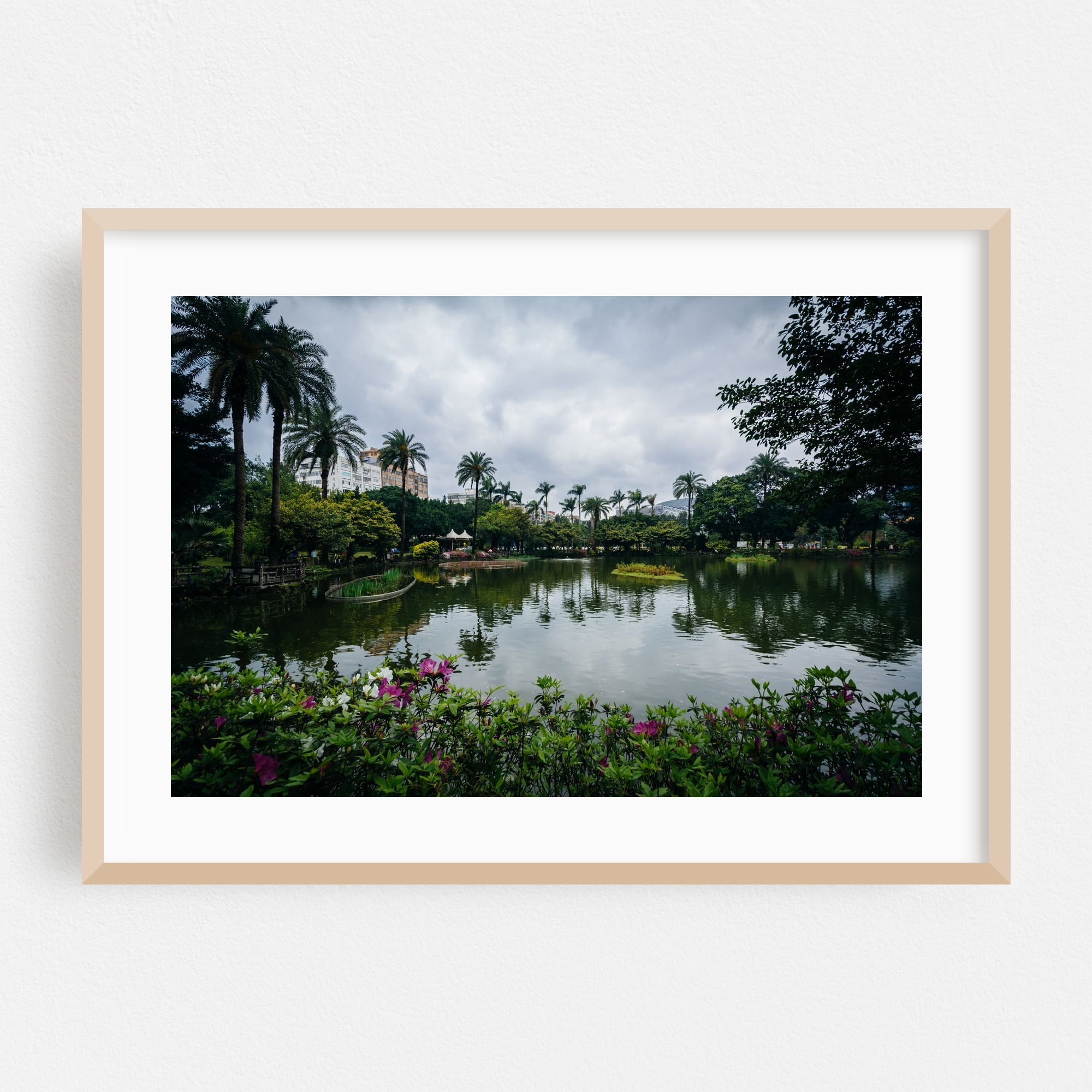 Zhongshan Park - Taipei Taiwan Photography Tropical Palm Tree Landscape ...