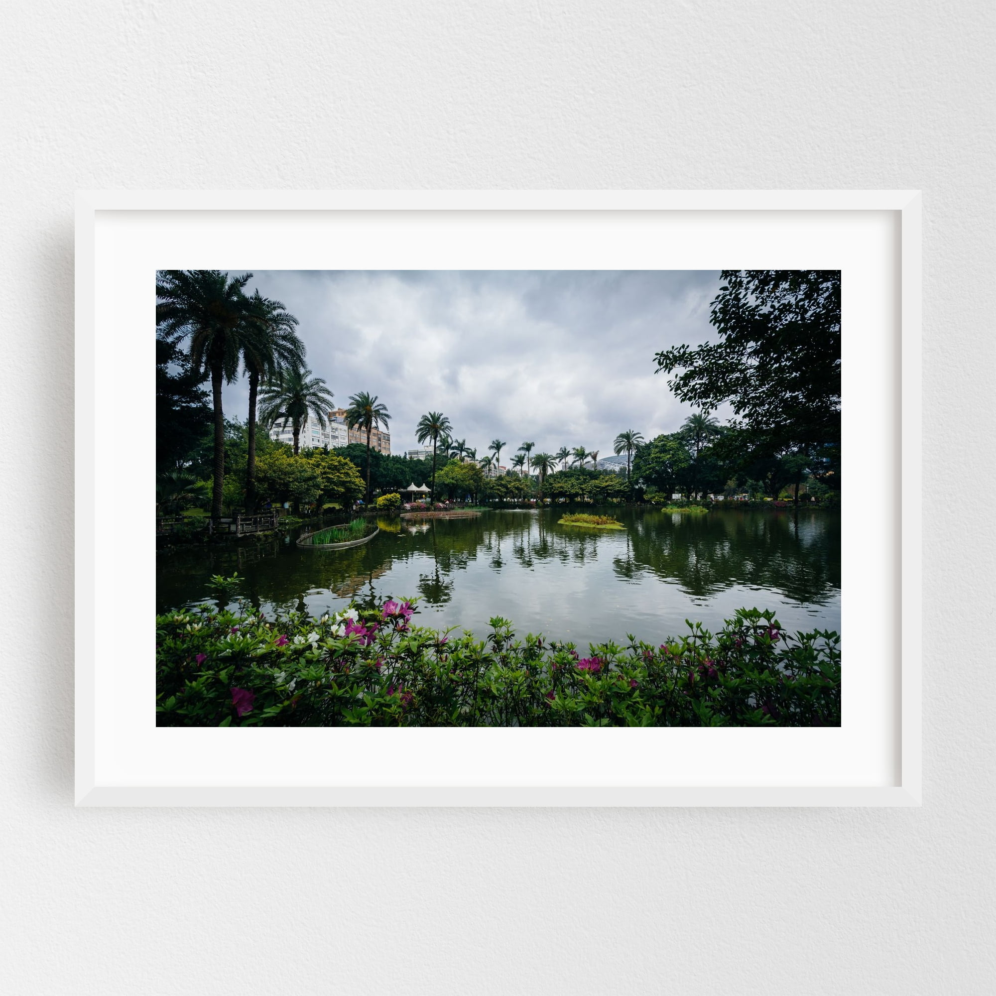 Zhongshan Park - Taipei Taiwan Photography Tropical Palm Tree Landscape ...