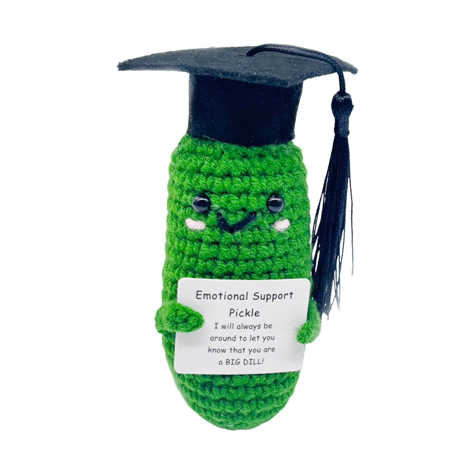 Zhouqiannn Graduation Gifts 2025 for Pickle Lovers - Eco-Friendly ...