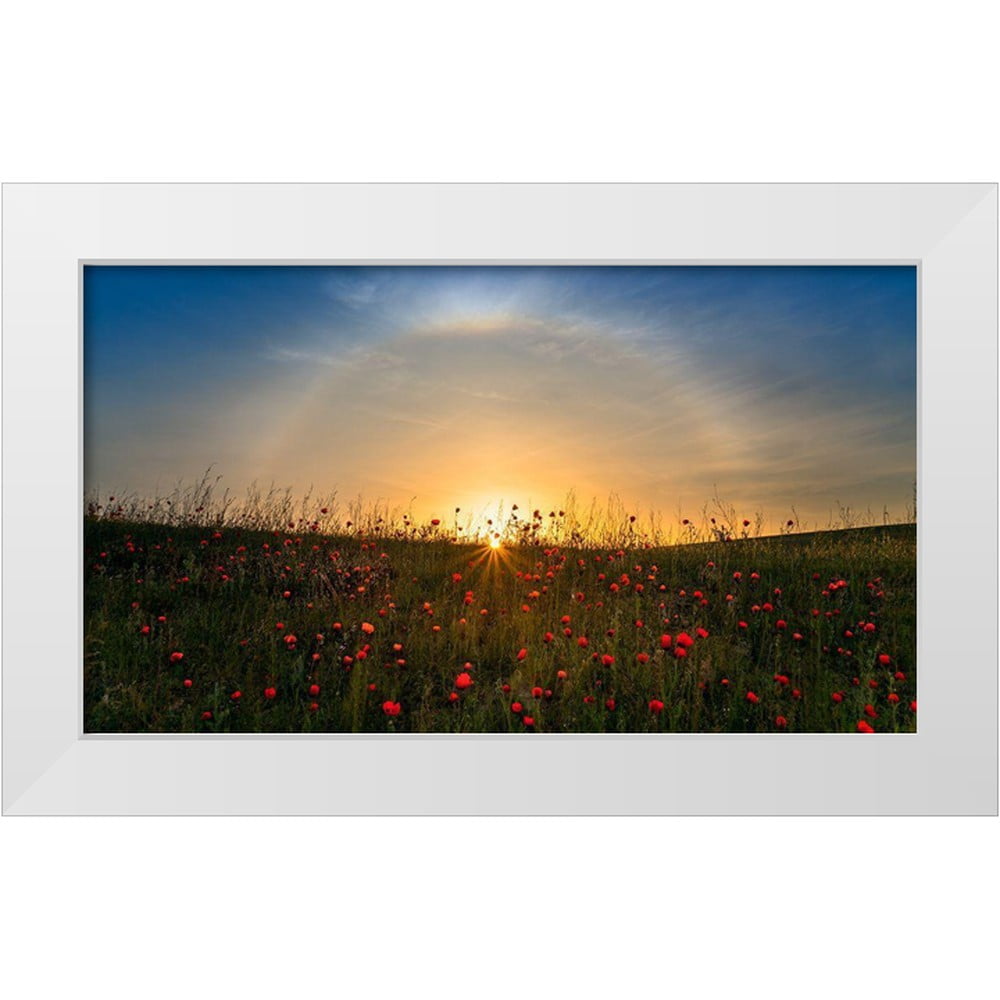 Zhu, Hua 18x12 White Modern Wood Framed Museum Art Print Titled - Red ...