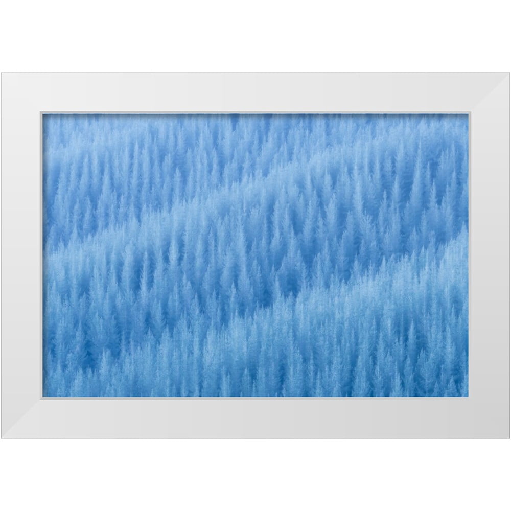 Zhu, Jingshu 32x23 White Modern Wood Framed Museum Art Print Titled ...