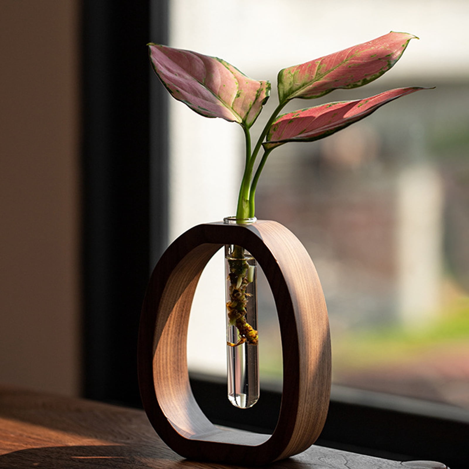 ZhuWa Hydroponic Plants Test Tube Vase with Wooden Stand Clear Flower ...