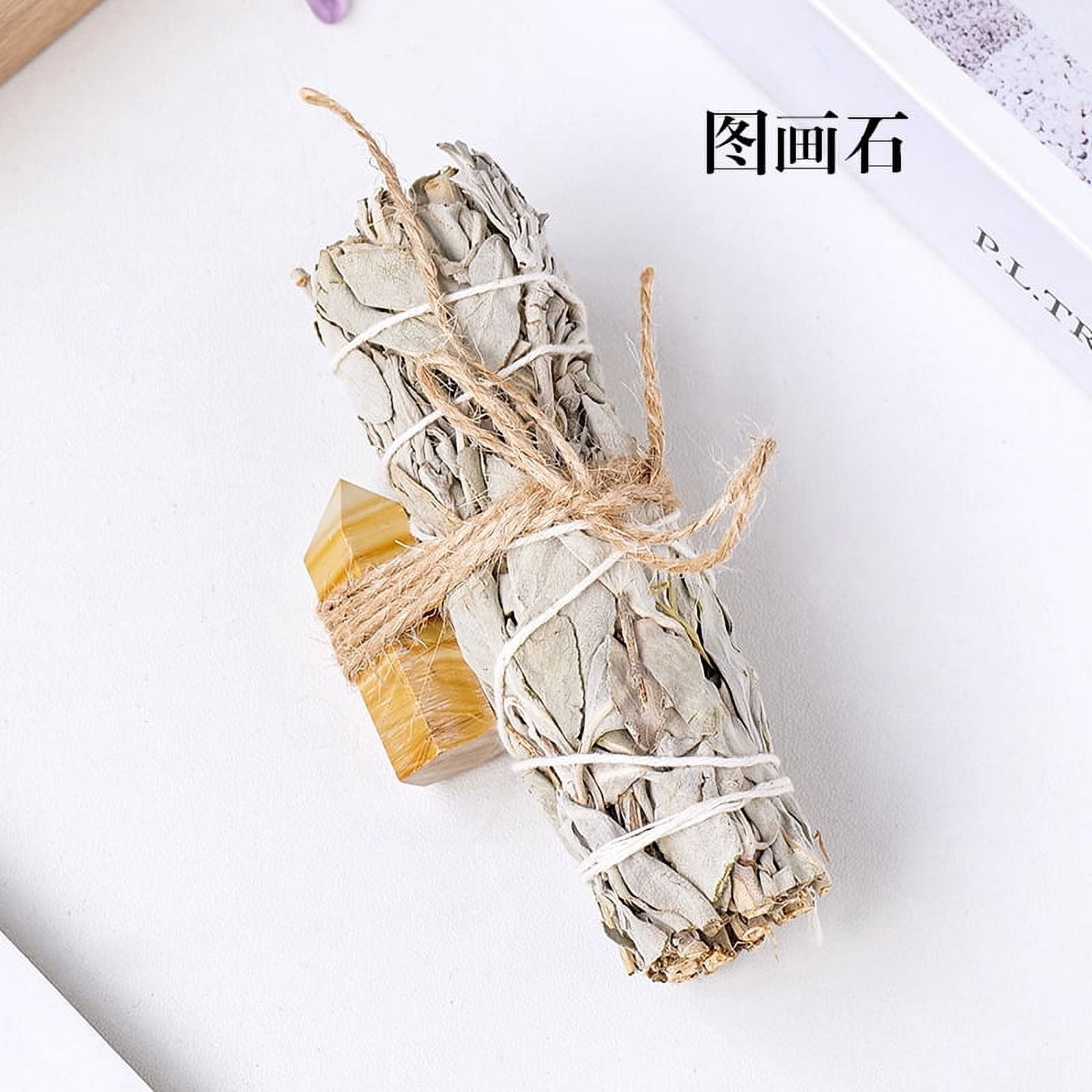 Zhuge 1 piece of natural California white rat tail grass, single ...