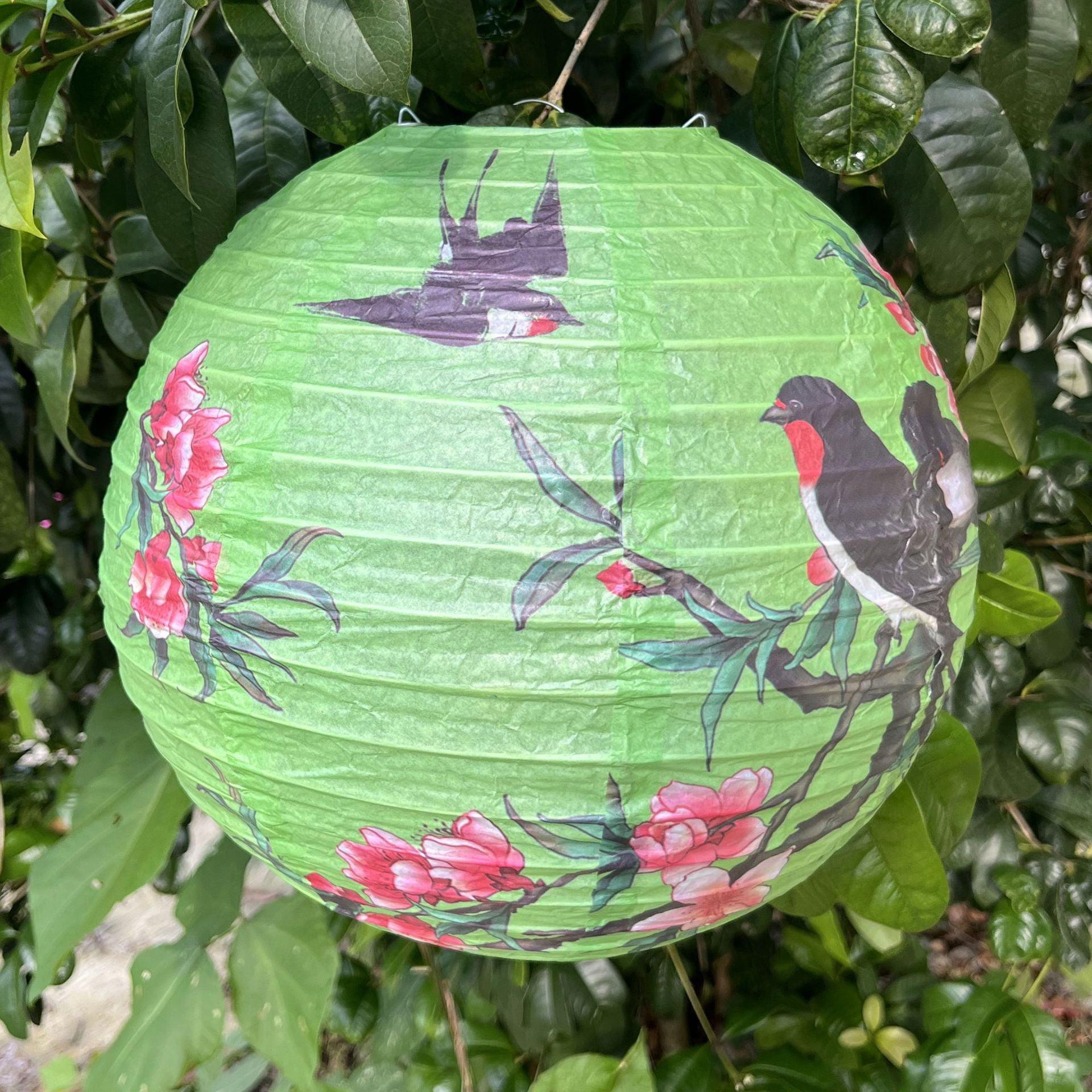 Zhuge Paper Lanterns Decorative, Hanging Paper Lanterns Lanterns Indoor ...