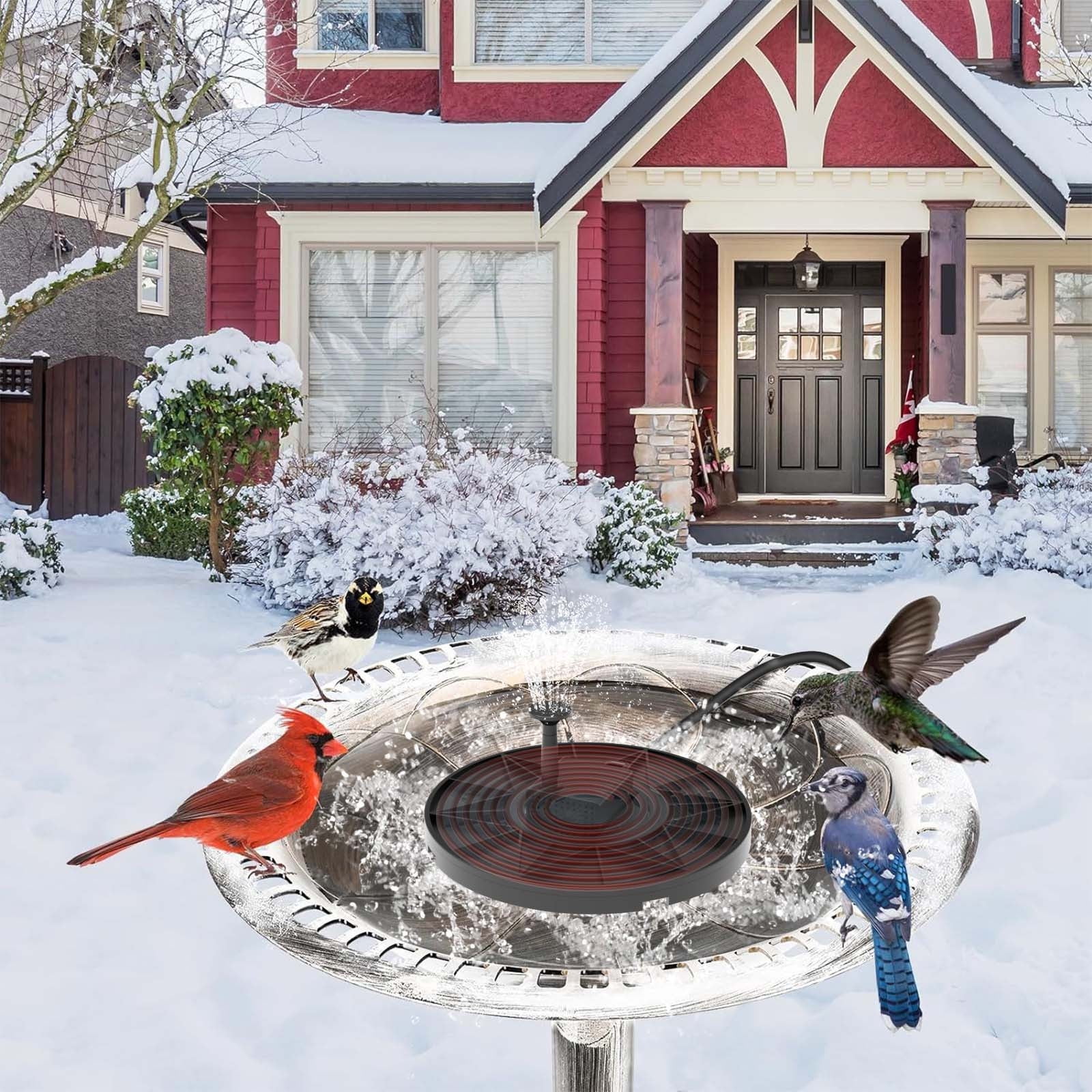 ZhyrZng Bird Bath Heater for Winter Outdoors - Heated Bird Bath Deicer ...