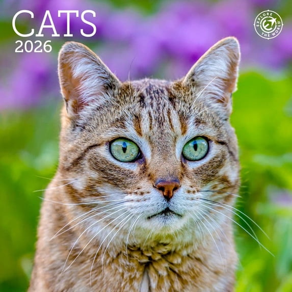 Ziga Media, Cats 2026 Mini Wall Calendar, 7'' X 7'', 16-Month Calendar ...