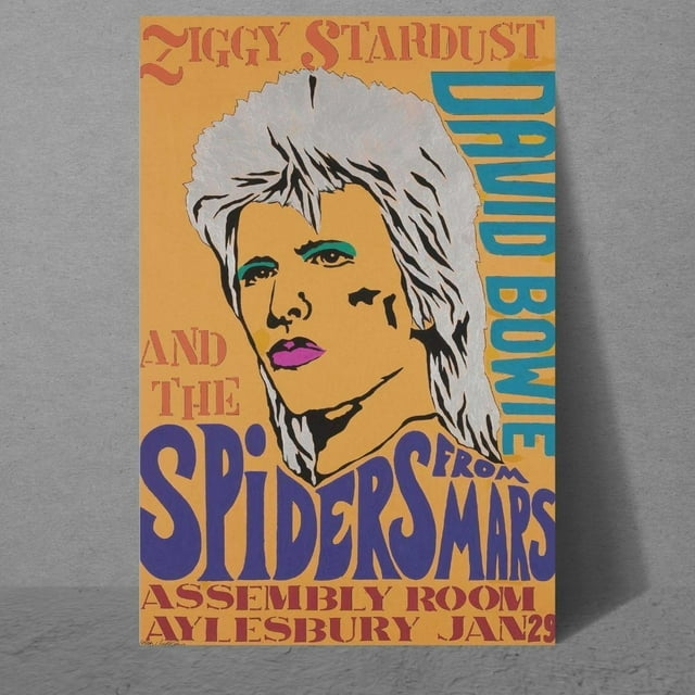 Ziggy Stardust david bowie 24x36 wall disco fame ashbury spiders from mars pop - Walmart.com
