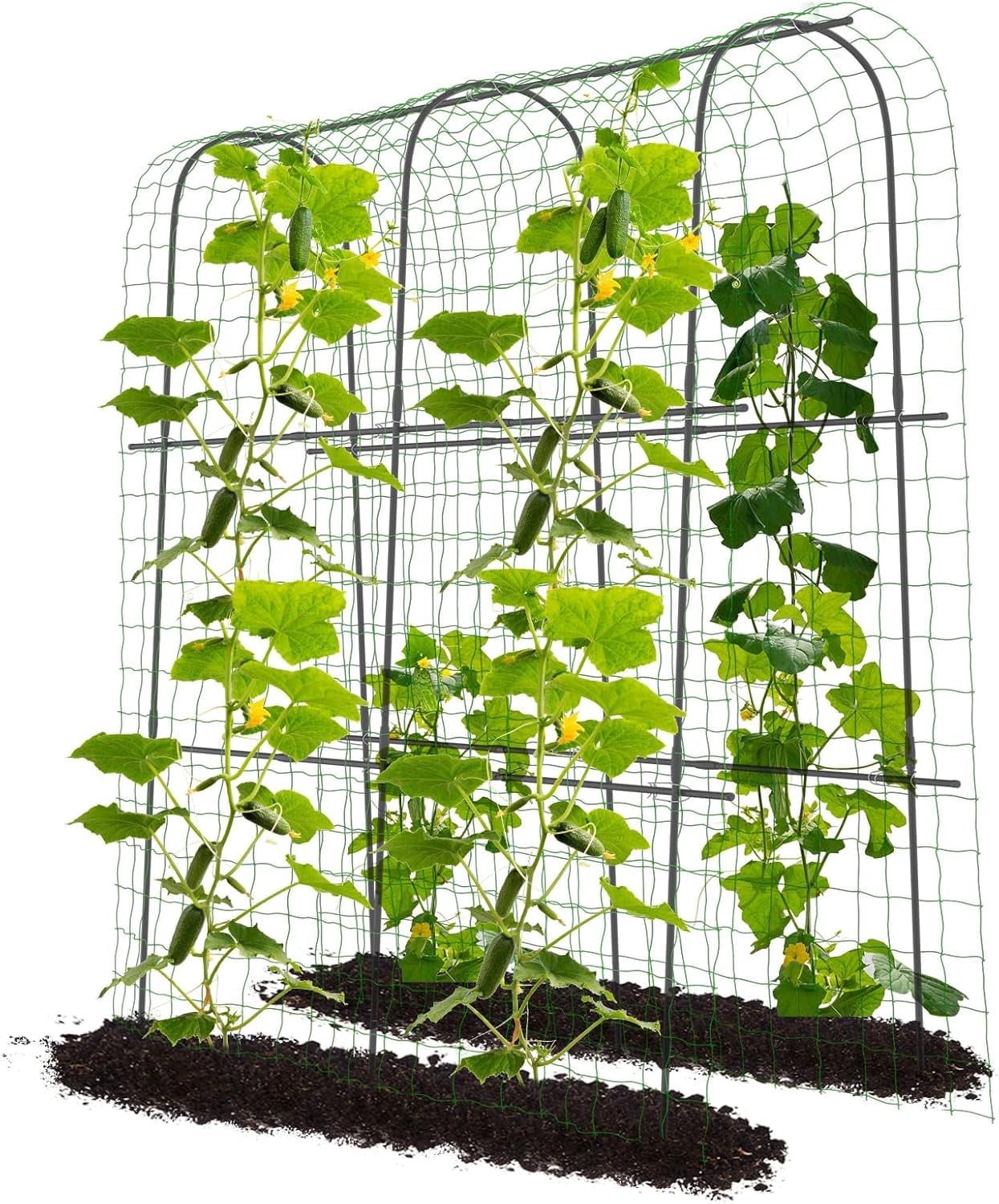 Zikebtuy Tall Garden Arch Trellis Cucumber Trellis for Climbing Plants, 71in Tall Metal Plant ...