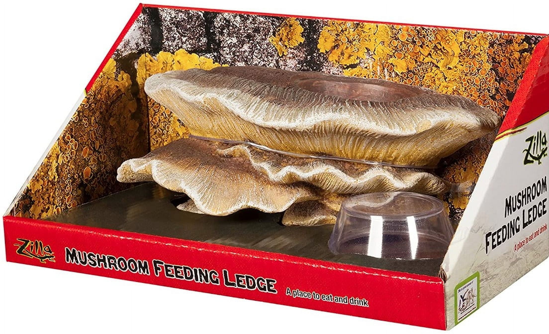 Zilla Mushroom Feeding Ledge for Eating and Drinking Reptiles 1 count ...